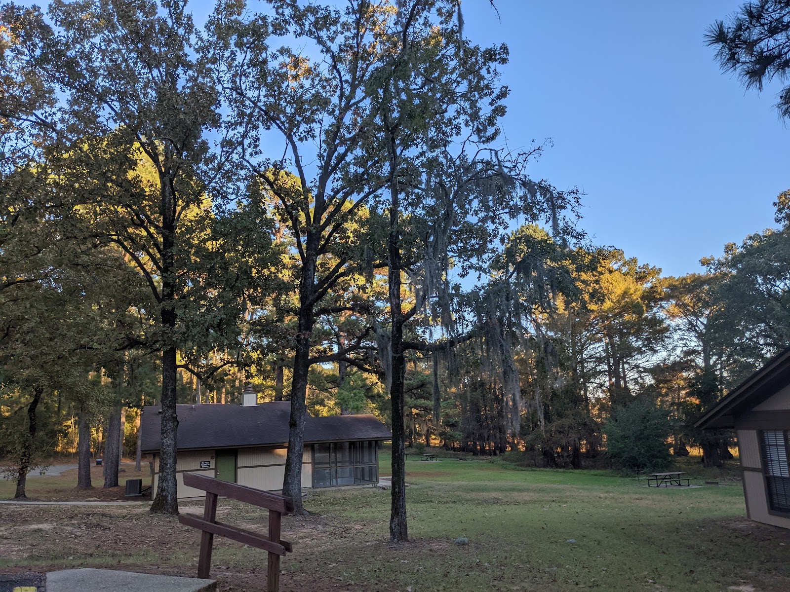 Lake Bistineau State Park - Pictures, Features & Amenities | RVezy ...