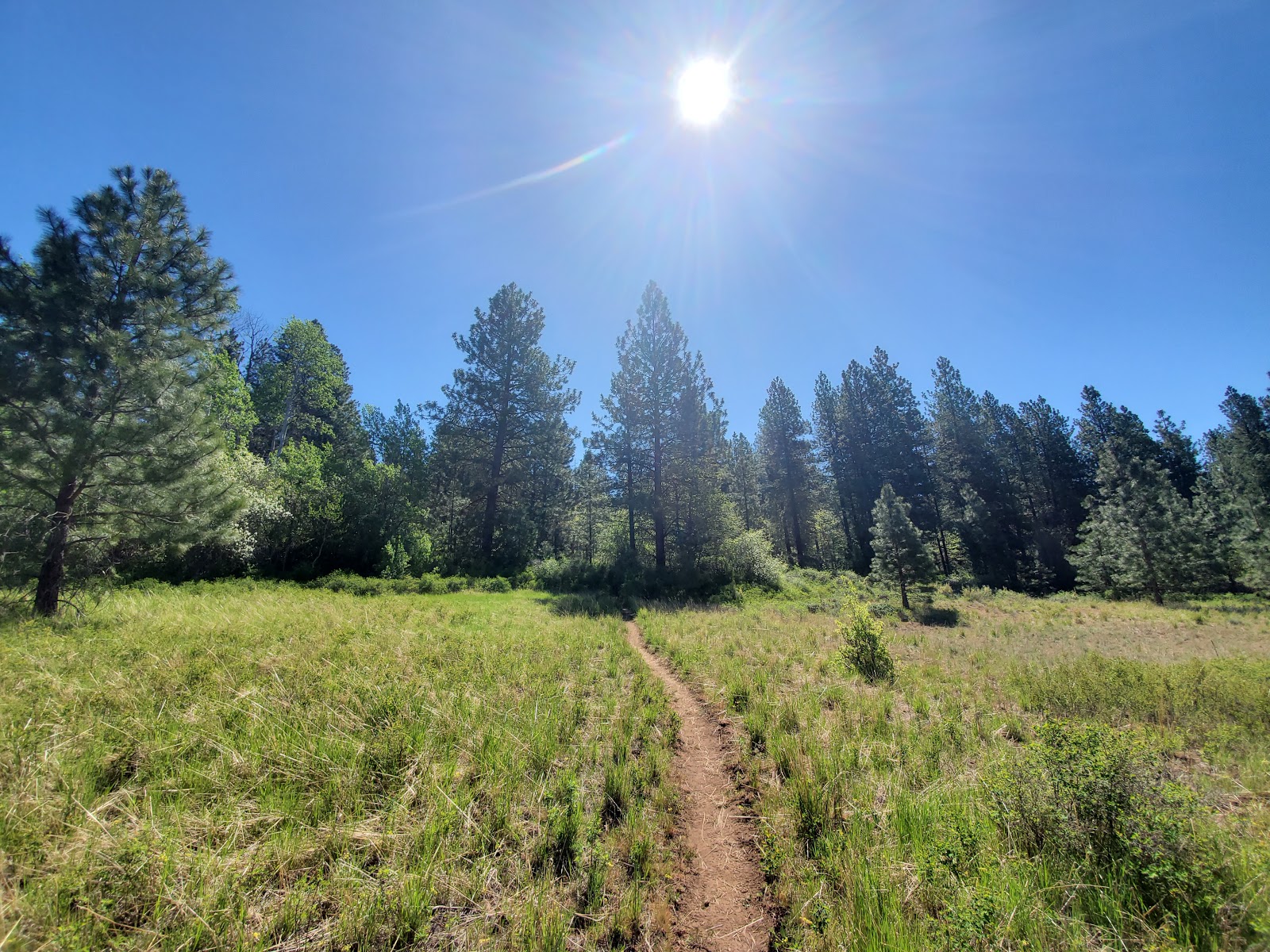 Brooks Memorial State Park - Pictures, Features & Amenities | RVezy ...