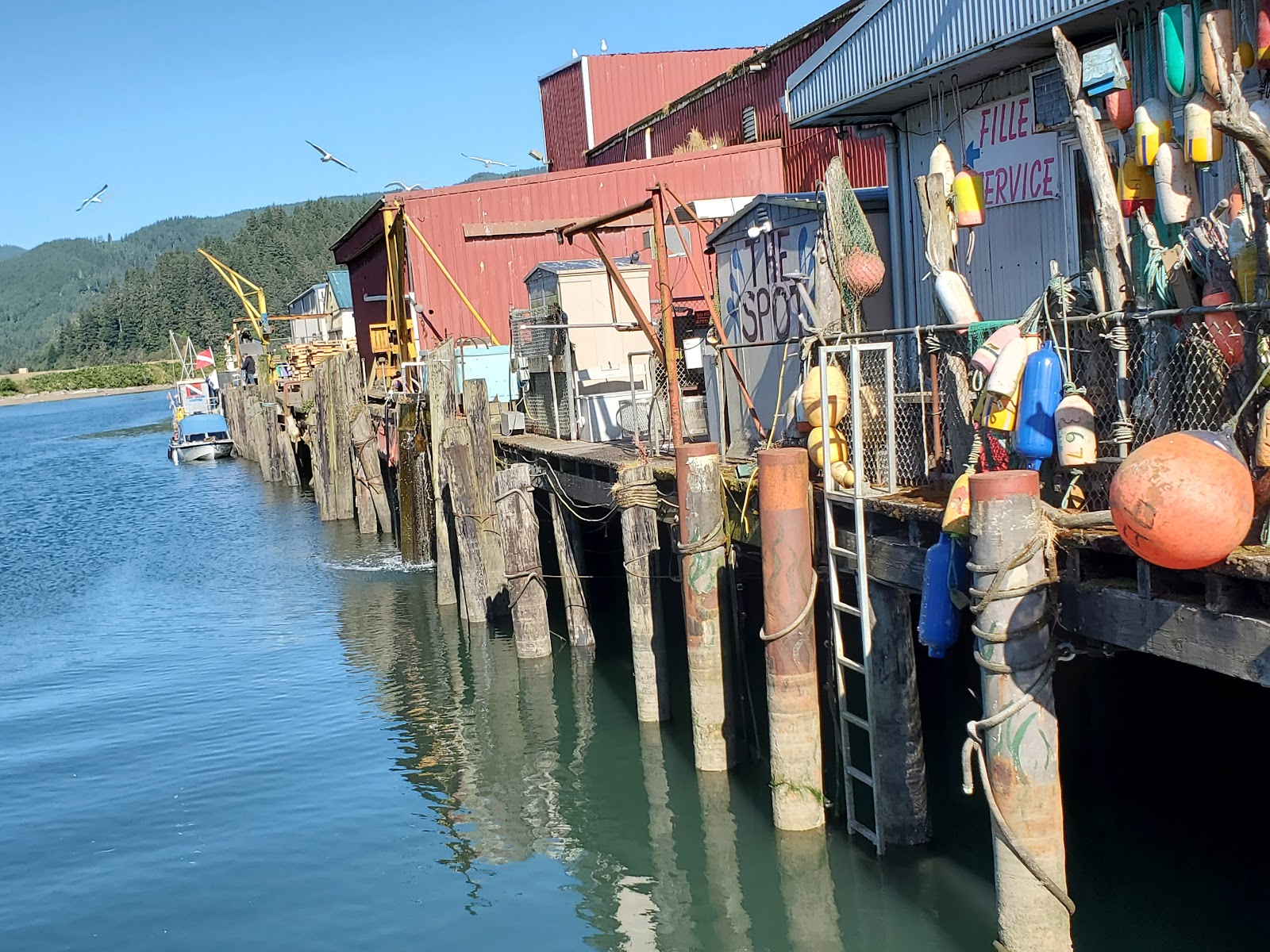 Port of Garibaldi RV Park - Pictures, Features & Amenities | RVezy ...