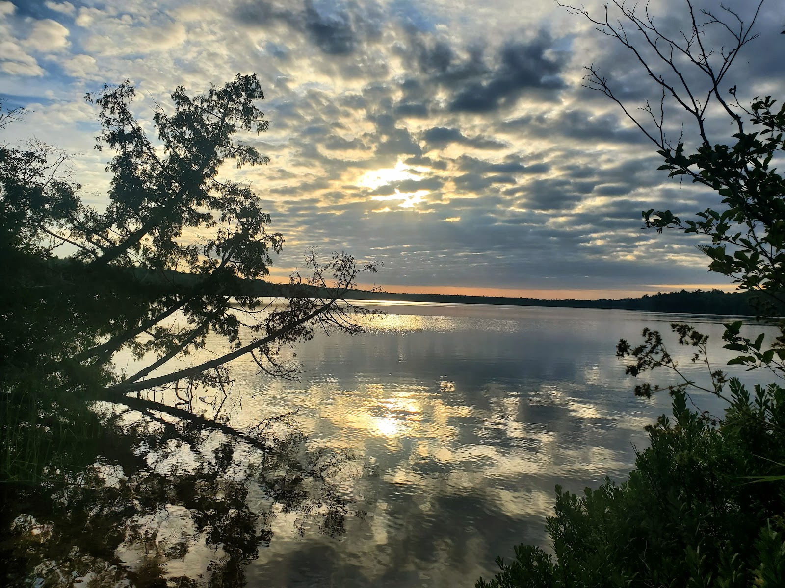 Little Brevort Lake North State Forest Campground - Pictures, Features ...