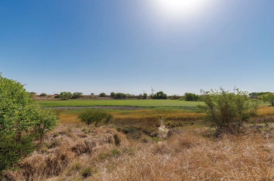 Totem Pole RV Park - Pictures, Features & Amenities | RVezy Campgrounds