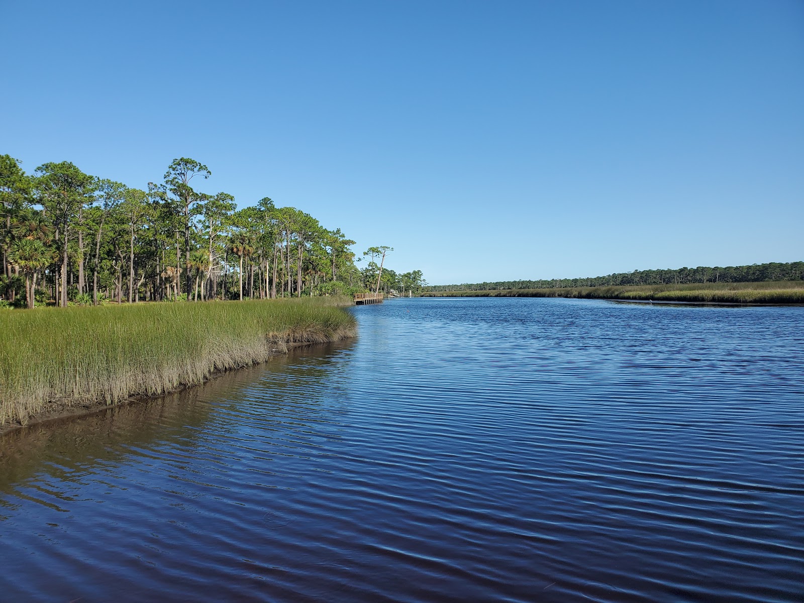 Faver-Dykes State Park - Pictures, Features & Amenities | RVezy Campgrounds