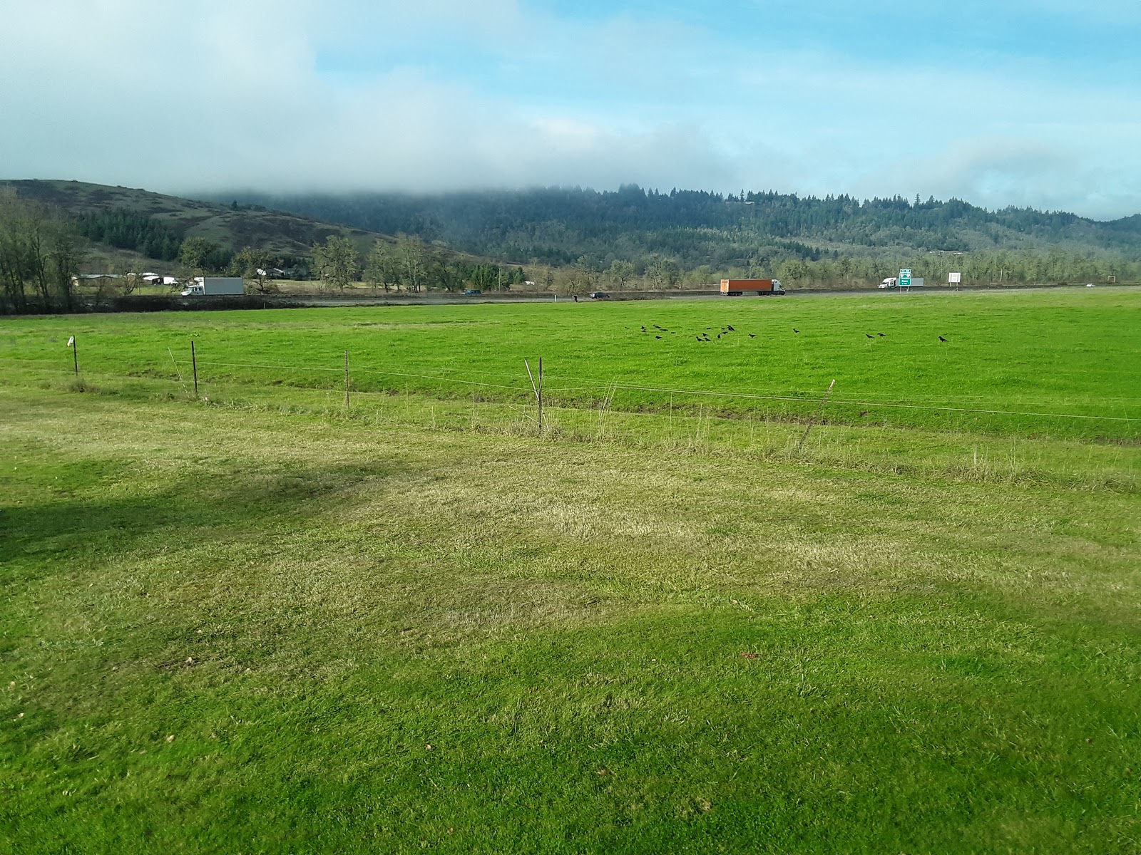 Rice Hill RV Park LLC - Pictures, Features & Amenities | RVezy Campgrounds