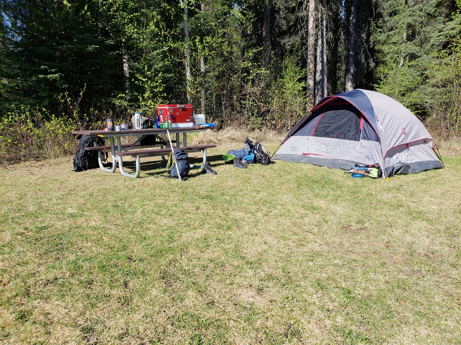 Red Squirrel Campground - Pictures, Features & Amenities | RVezy ...