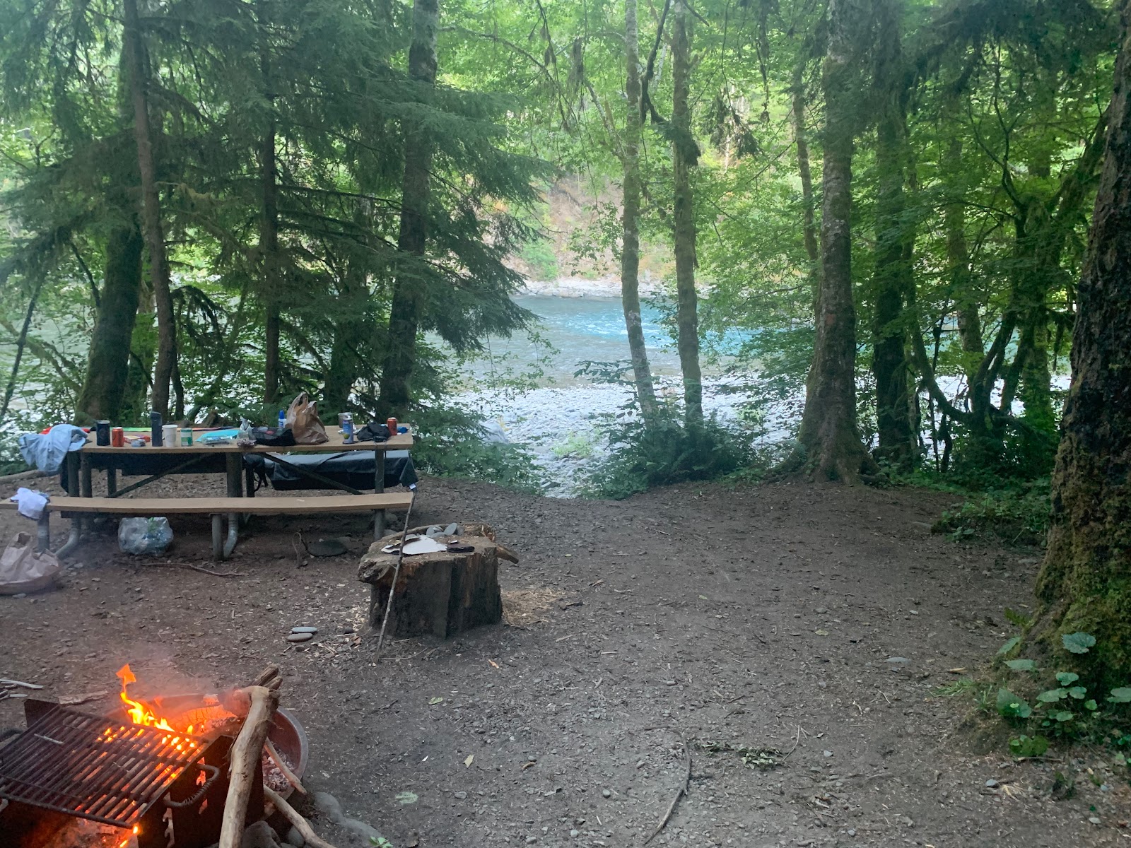 Hoh Oxbow Campground - Pictures, Features & Amenities | RVezy Campgrounds