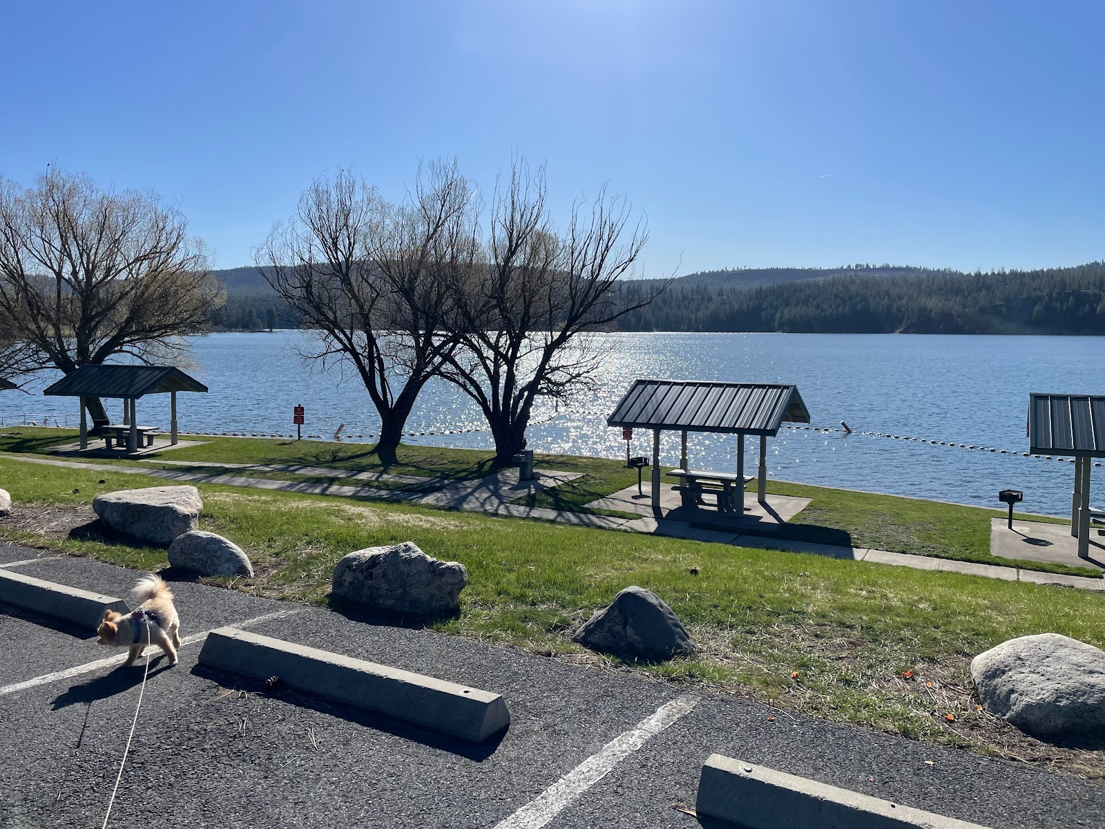 Lake Spokane - Riverside State Park - Pictures, Features & Amenities ...