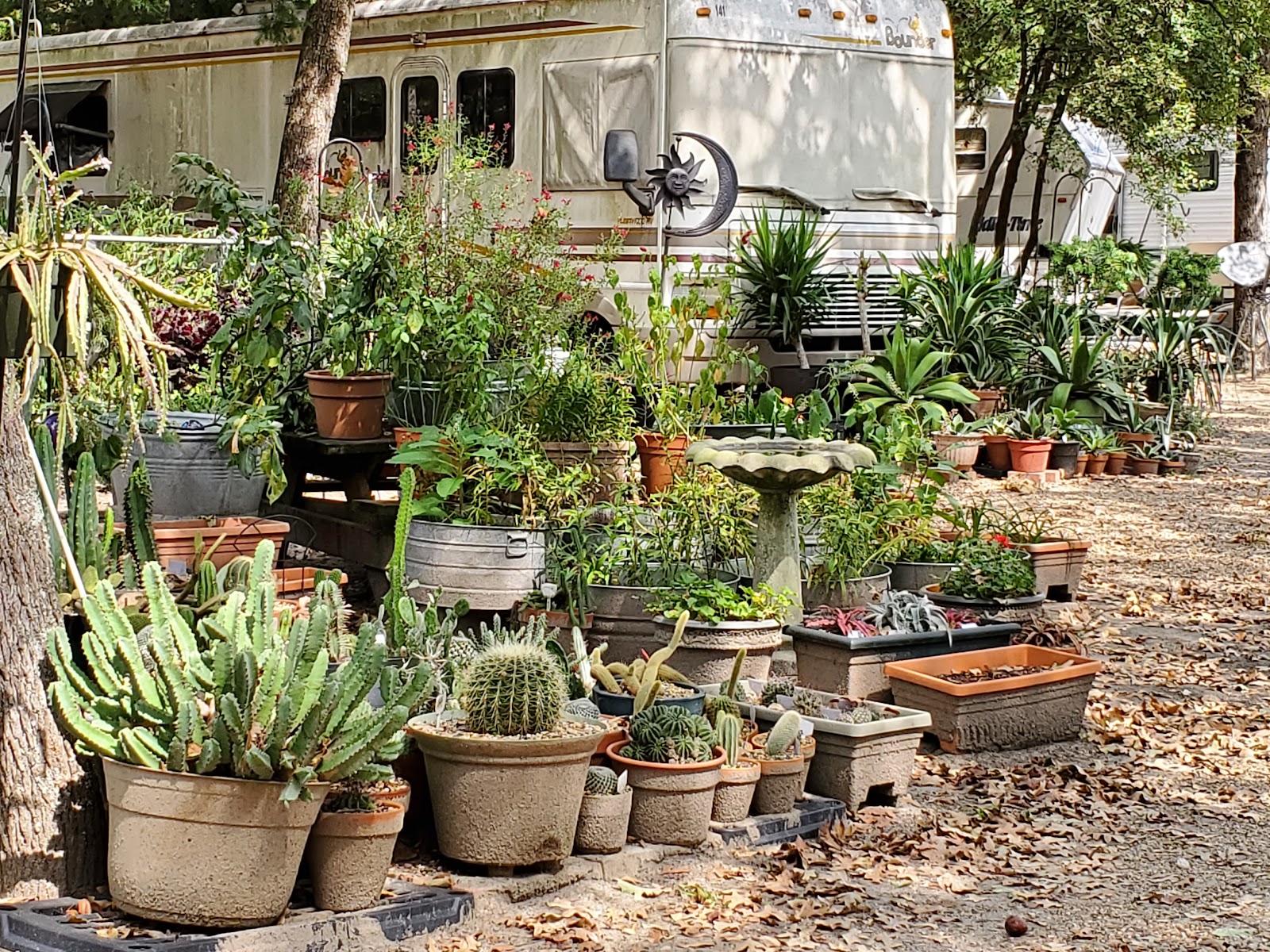 Texas Log Cabin RV Park - Pictures, Features & Amenities | RVezy ...