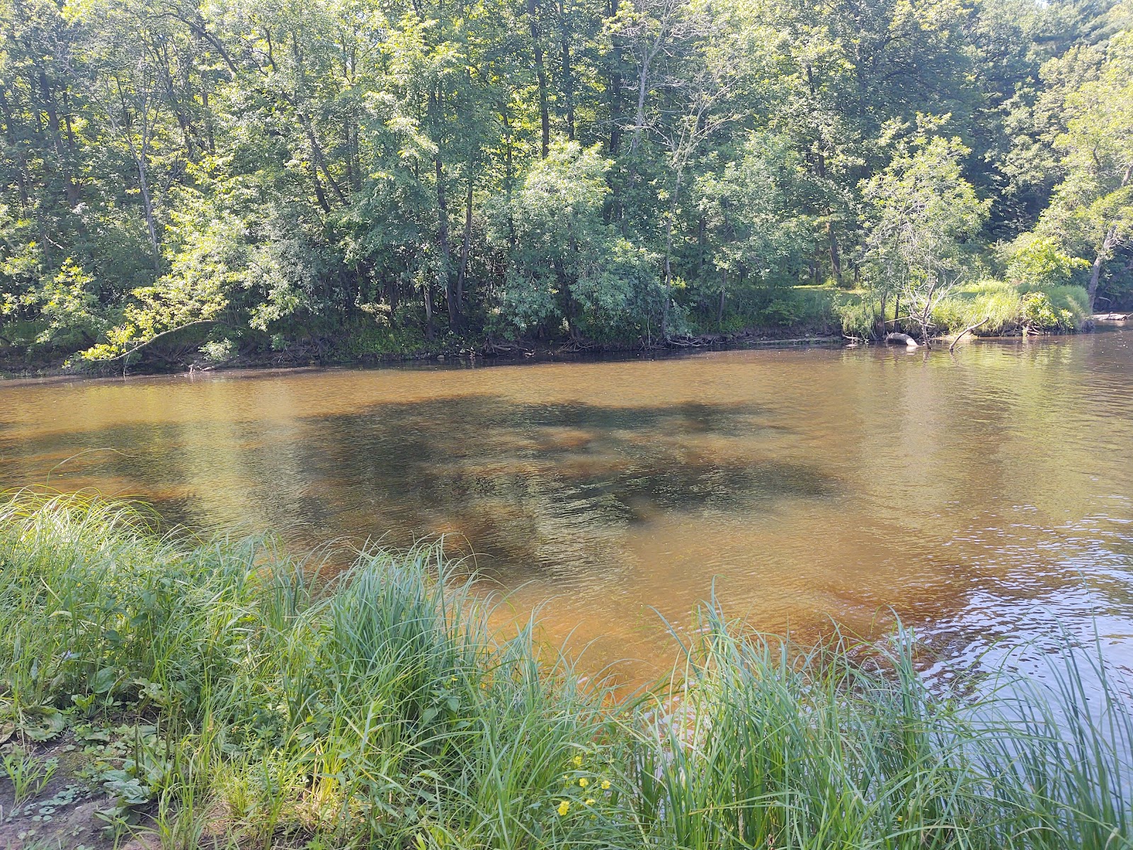 Eagle Ridge Campground - Pictures, Features & Amenities | RVezy Campgrounds