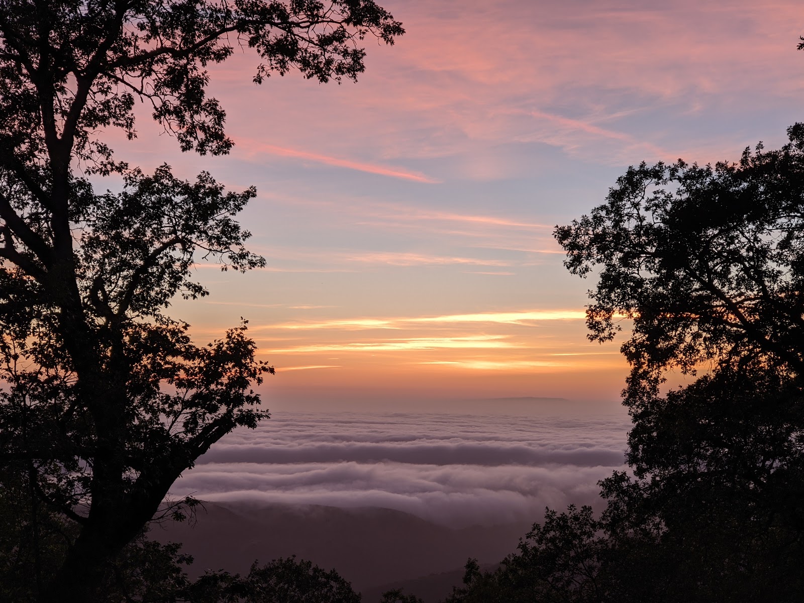 Fremont Peak State Park - Pictures, Features & Amenities | RVezy ...