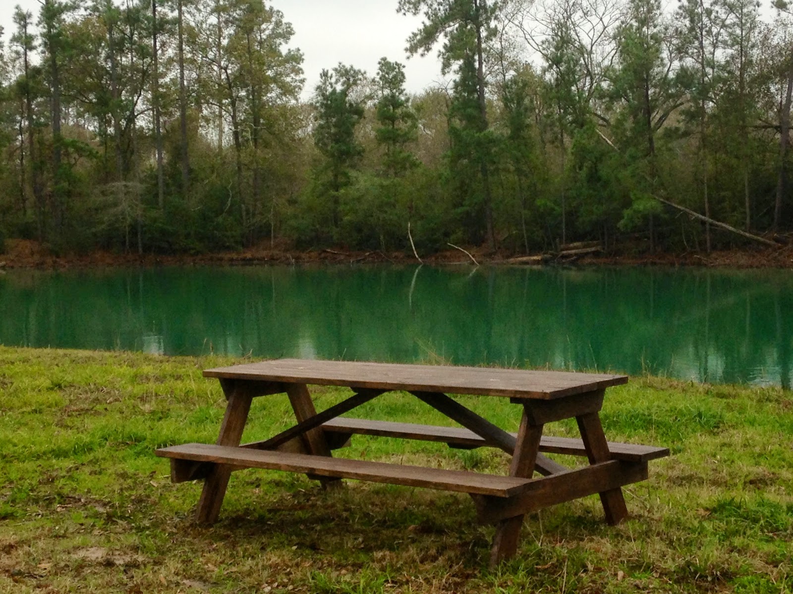 Magnolia Forest RV Park - Pictures, Features & Amenities | RVezy ...