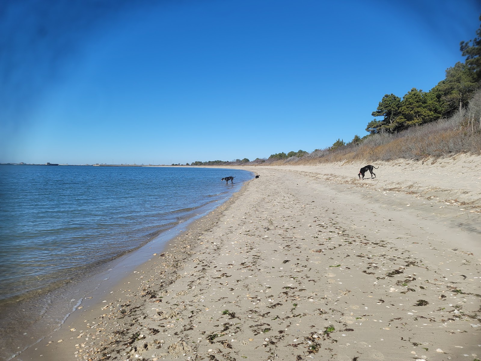 Kiptopeke State Park - Pictures, Features & Amenities | RVezy Campgrounds