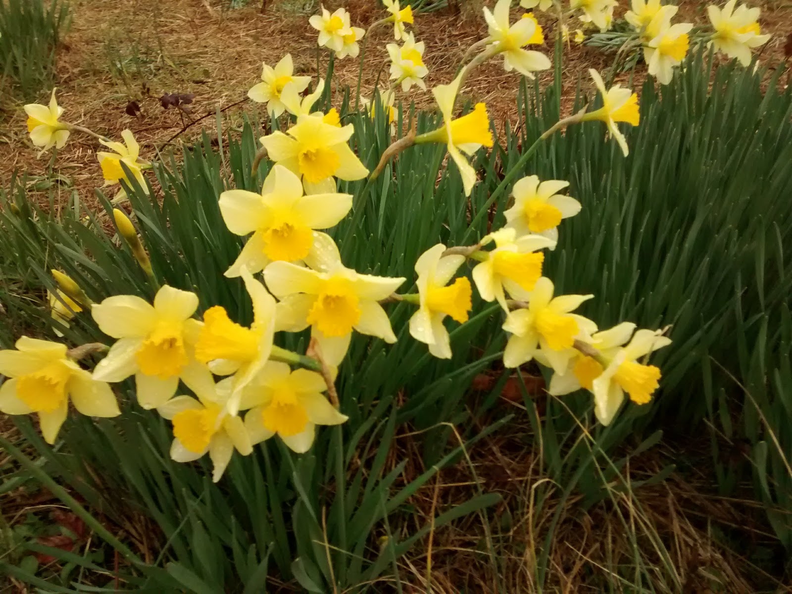 Forest Lake Estates Motorhome Complex - Pictures, Features & Amenities ...