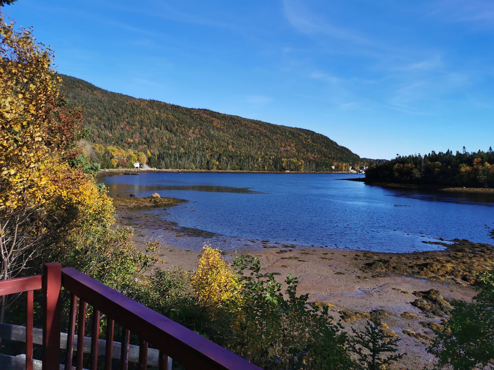 Kilmory Resort Trailer Park - Pictures, Features & Amenities | RVezy ...