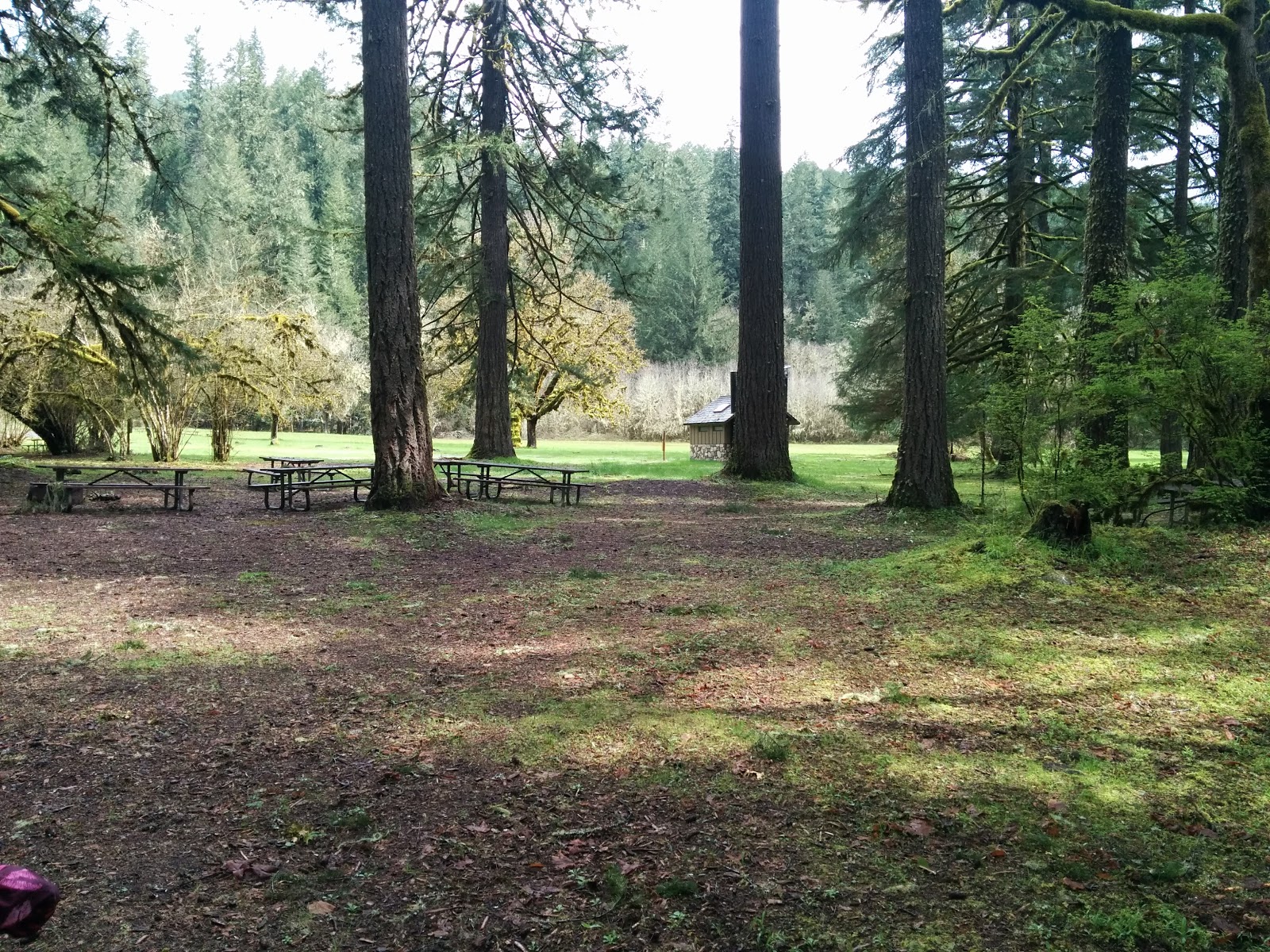 Cascadia State Park - Pictures, Features & Amenities | RVezy Campgrounds