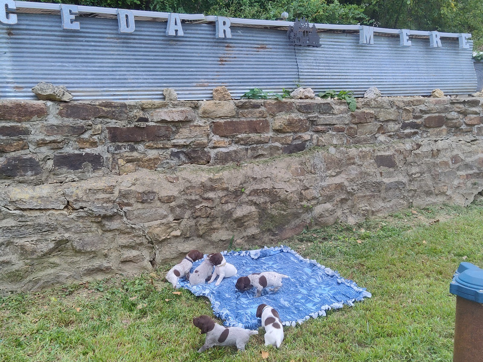 Cedar Mere Riverside - Pictures, Features & Amenities | RVezy Campgrounds