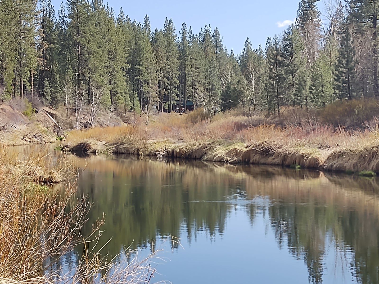 Little Bear RV Park - Pictures, Features & Amenities | RVezy Campgrounds