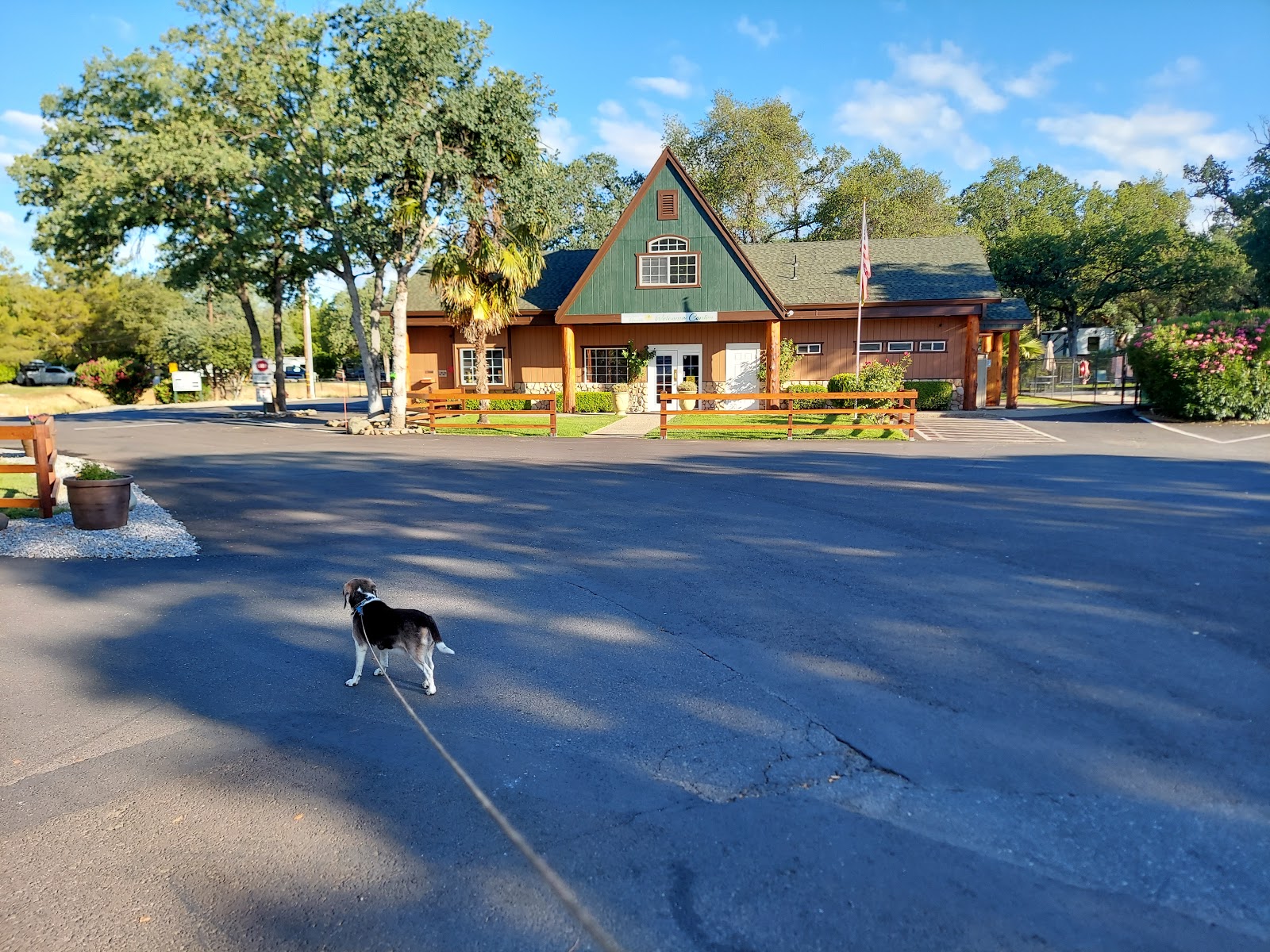 Premier RV Resorts-Redding - Pictures, Features & Amenities | RVezy Campgrounds