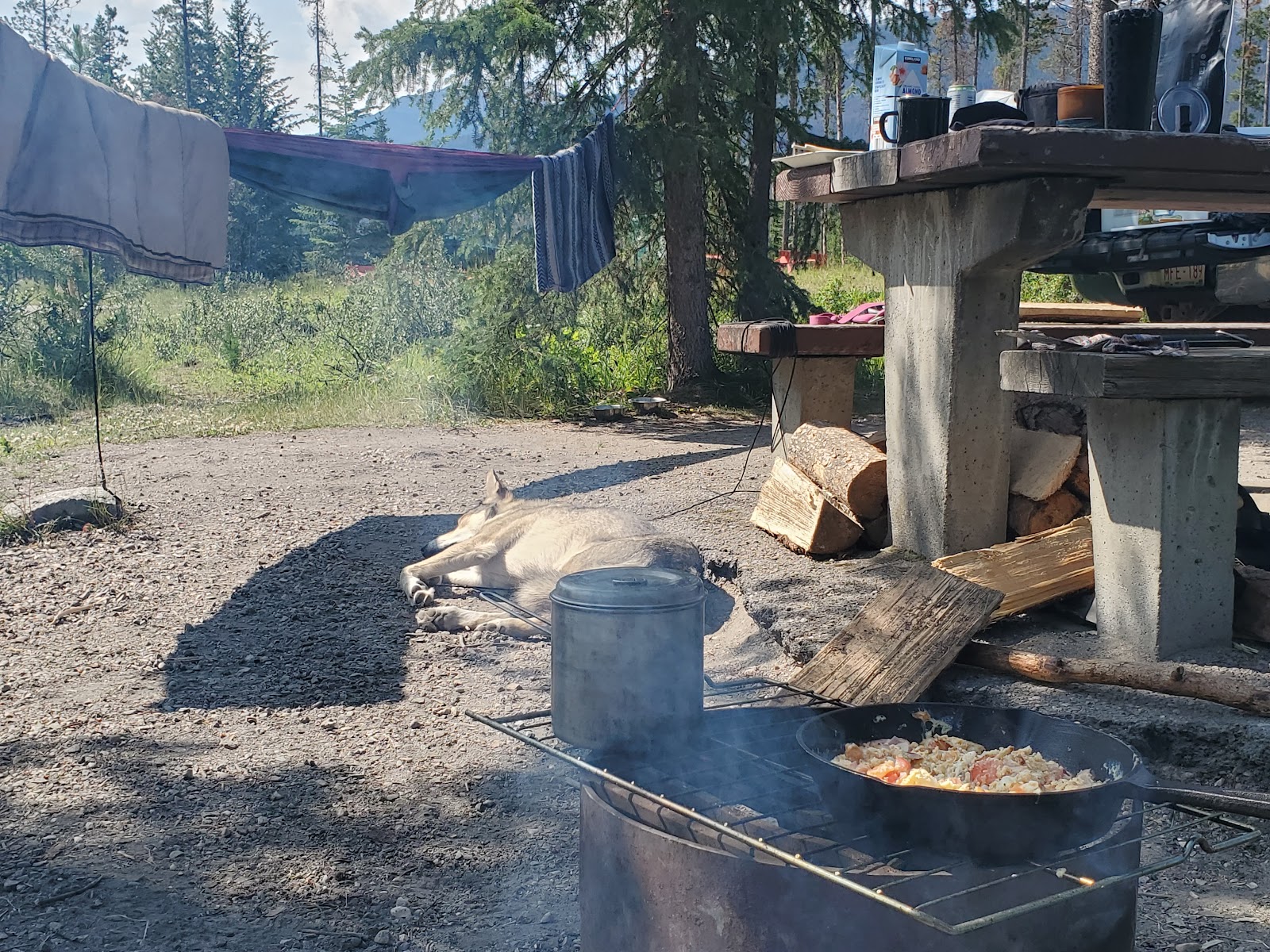 Wapiti Campground - Jasper National Park - Pictures, Features ...