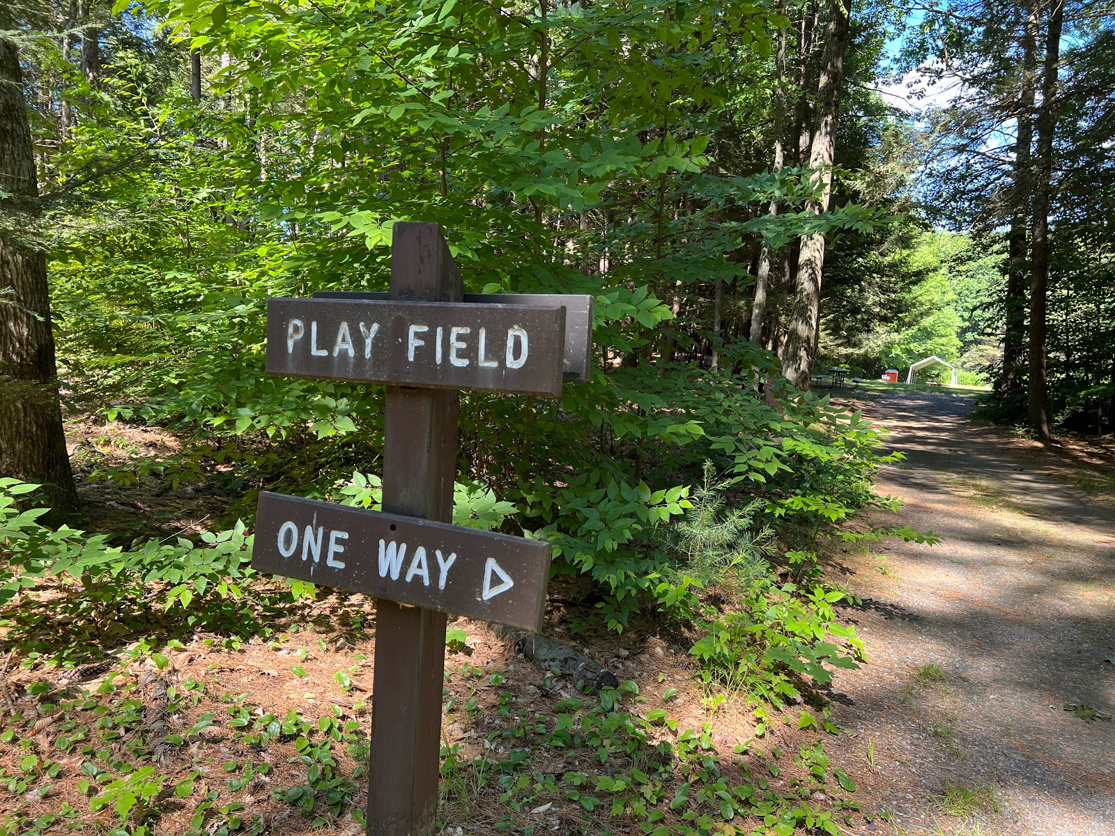 Fort Dummer State Park - Pictures, Features & Amenities | RVezy Campgrounds