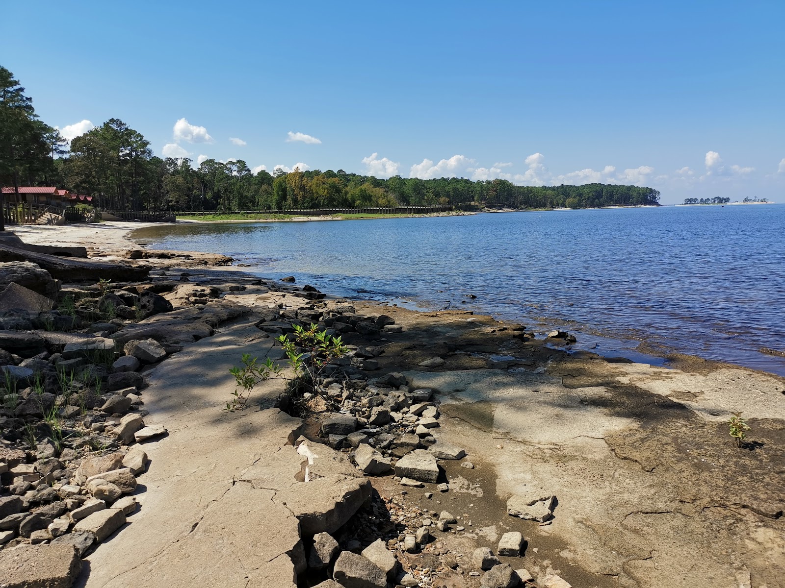 Sam Rayburn Marina Resort - Pictures, Features & Amenities | RVezy ...