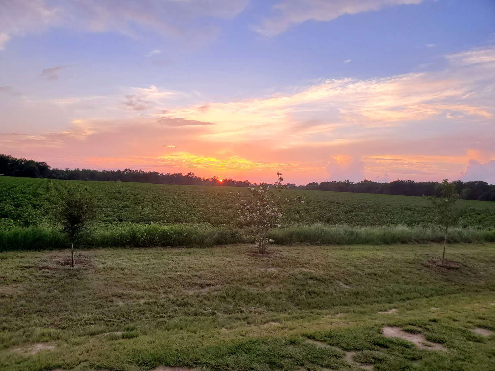 Todd Farms RV Park - Pictures, Features & Amenities | RVezy Campgrounds