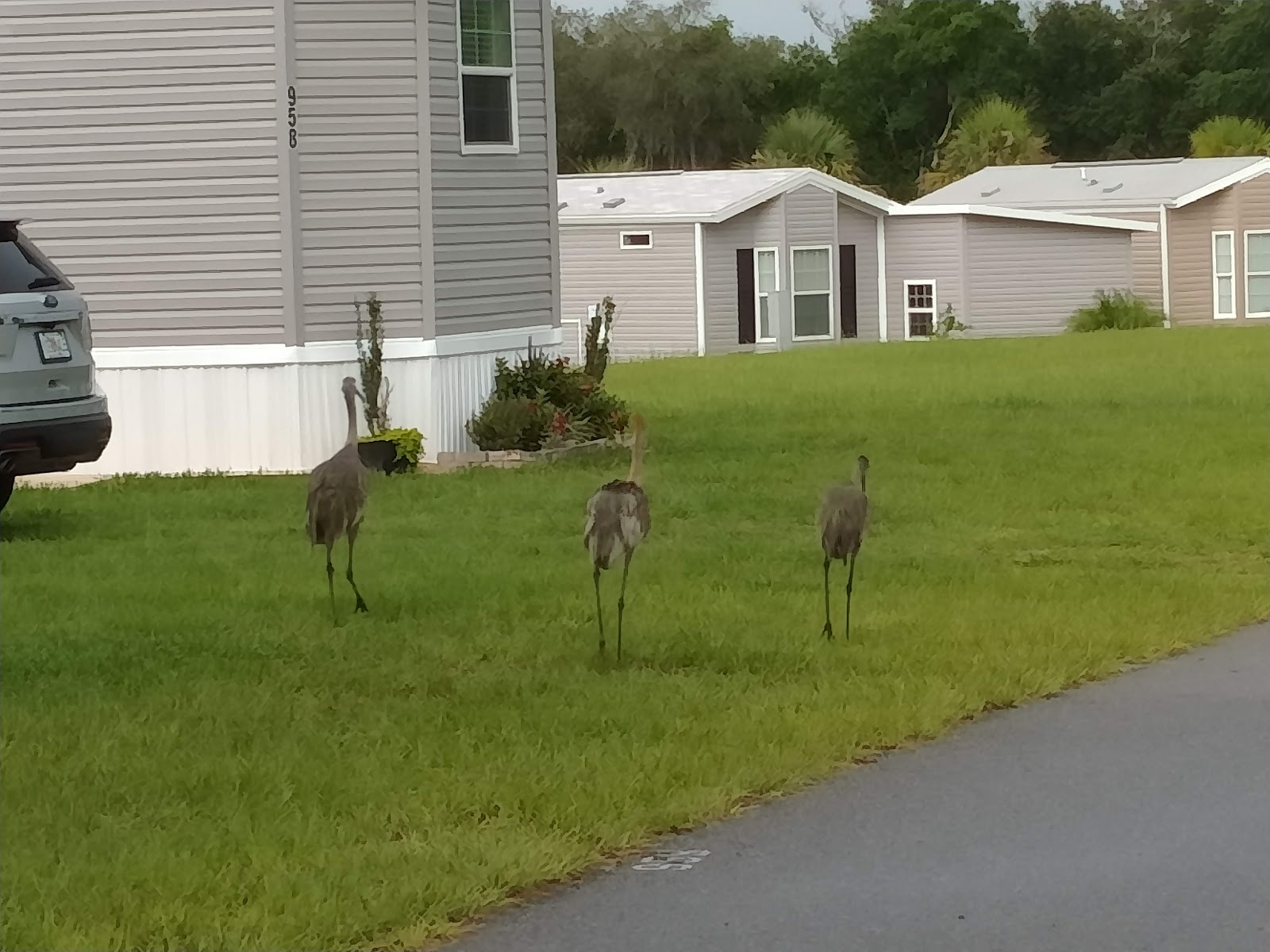 Recreation Plantation RV Resort - Pictures, Features & Amenities ...