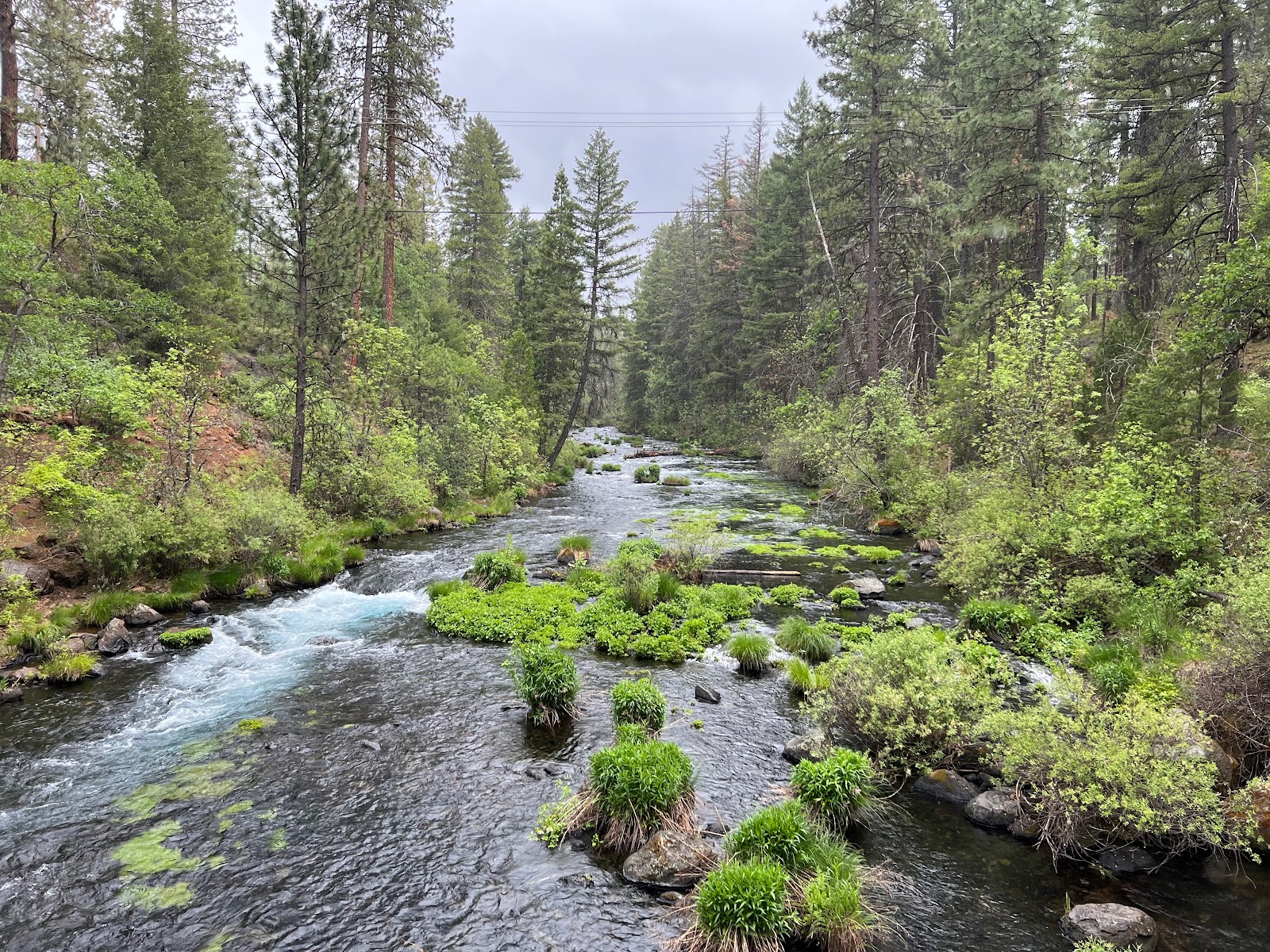 McArthur-Burney Falls State Park - Pictures, Features & Amenities ...