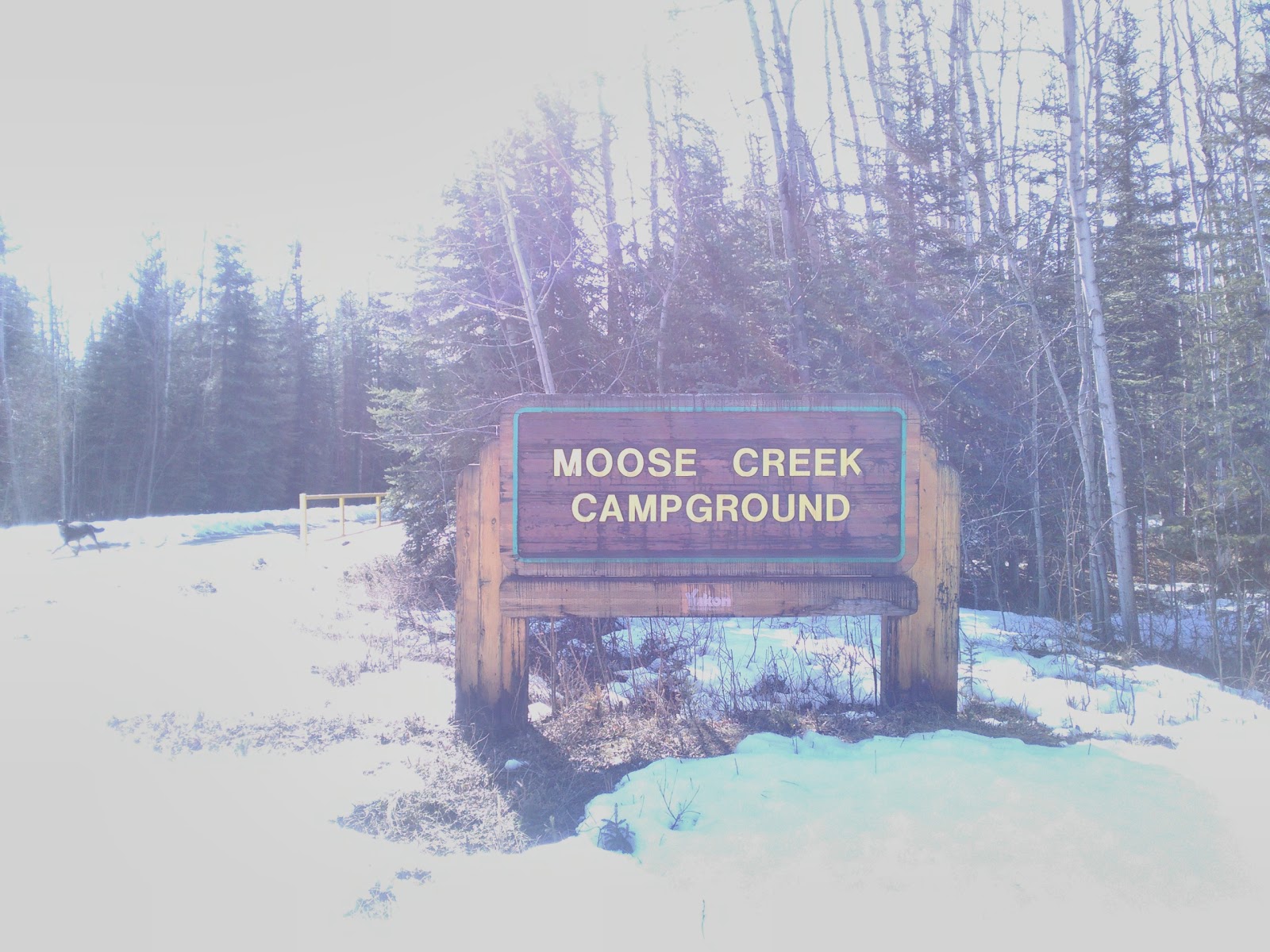 Moose Creek Campground - Pictures, Features & Amenities | RVezy Campgrounds