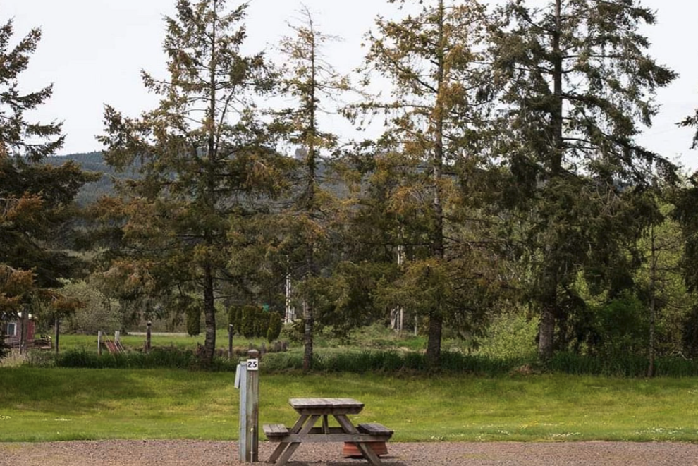 Tillamook Coast RV Park - Pictures, Features & Amenities | RVezy ...