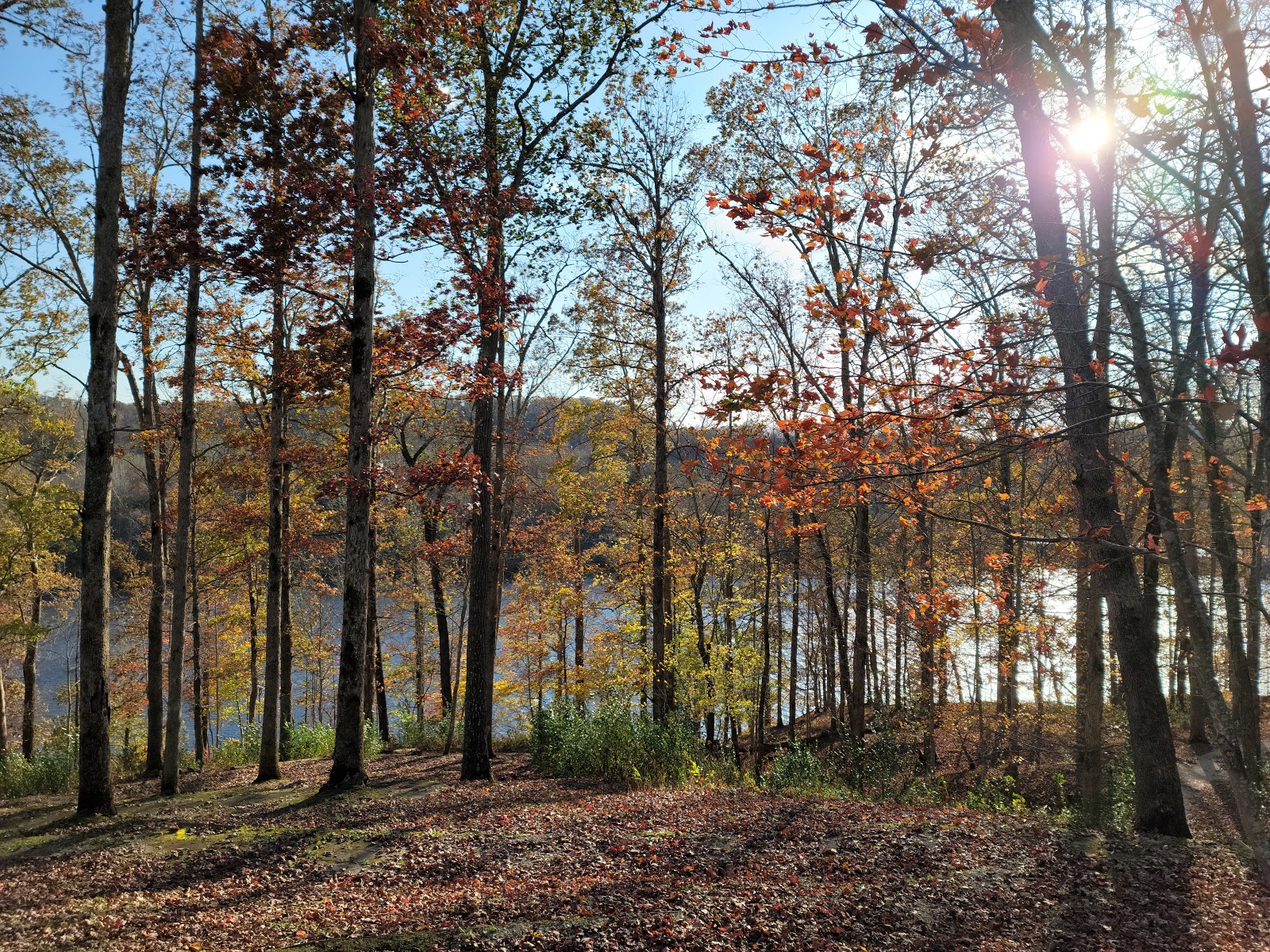Yatesville Lake State Park - Pictures, Features & Amenities | RVezy ...
