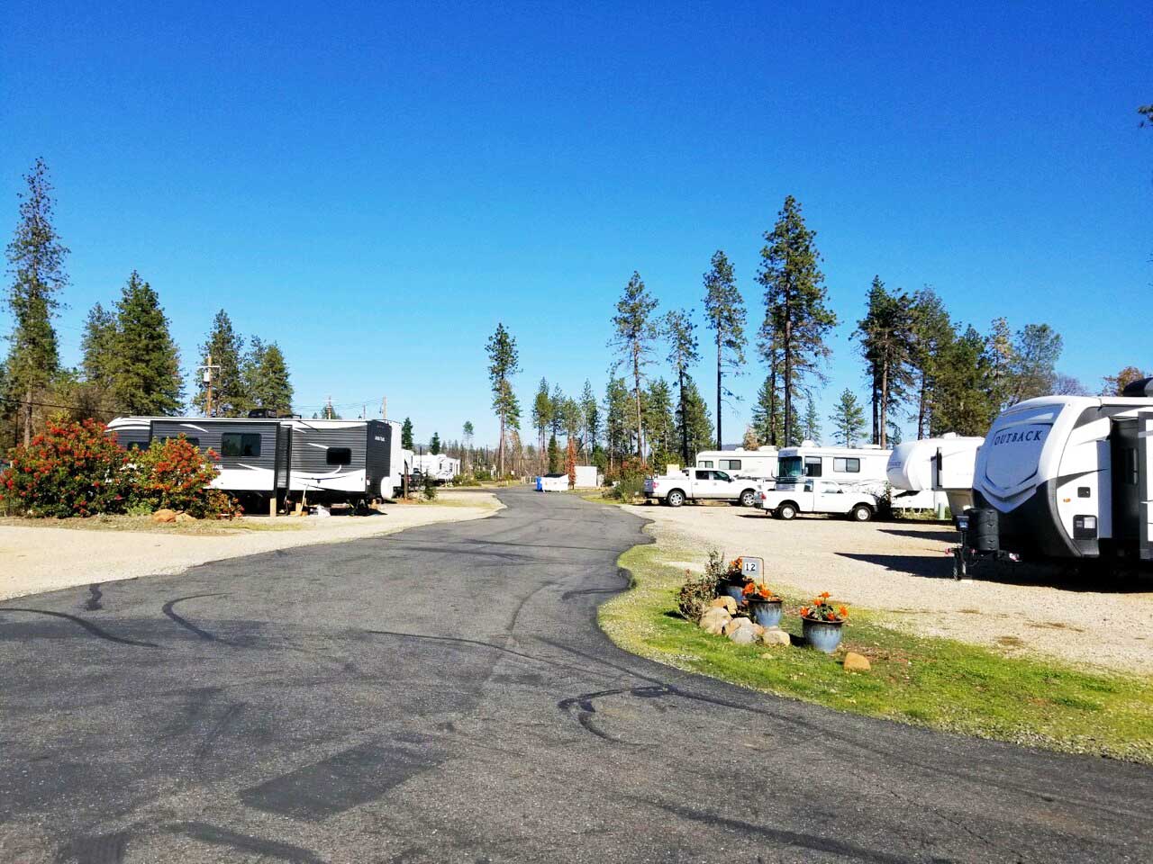 Pine Ridge RV Park & Storage - Pictures, Features & Amenities | RVezy ...