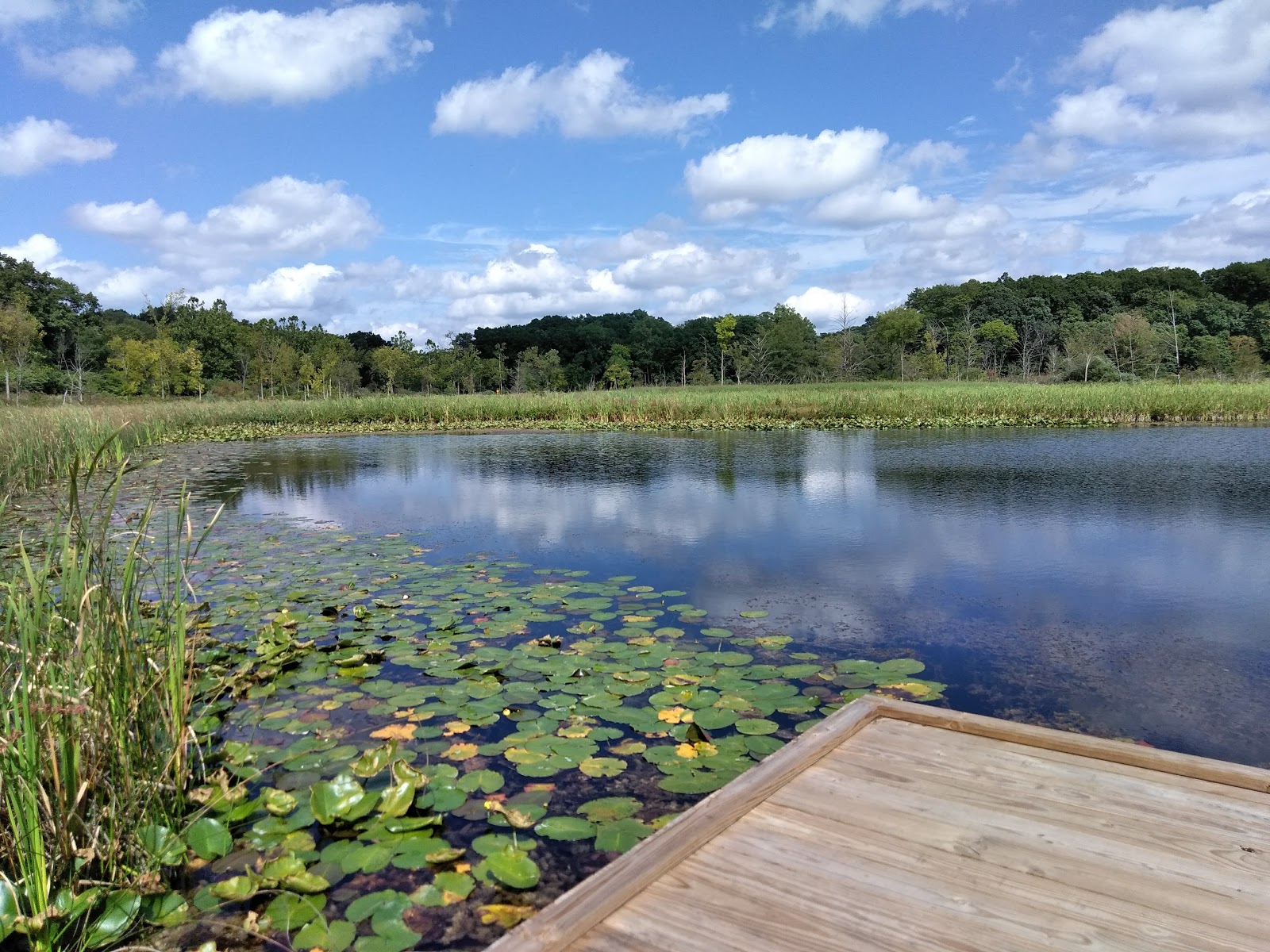 Pokagon State Park - Pictures, Features & Amenities | RVezy Campgrounds