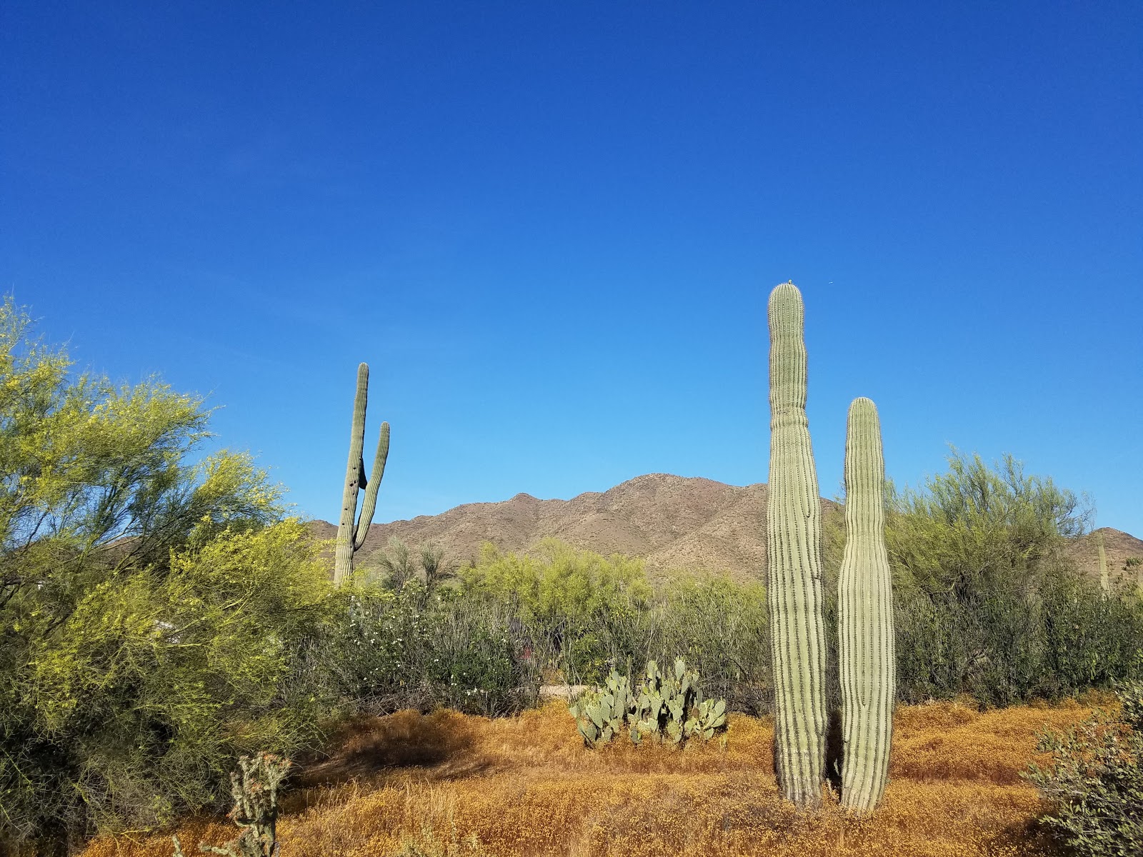 Shangri-La Ranch (Nudist) - Pictures, Features & Amenities | RVezy ...