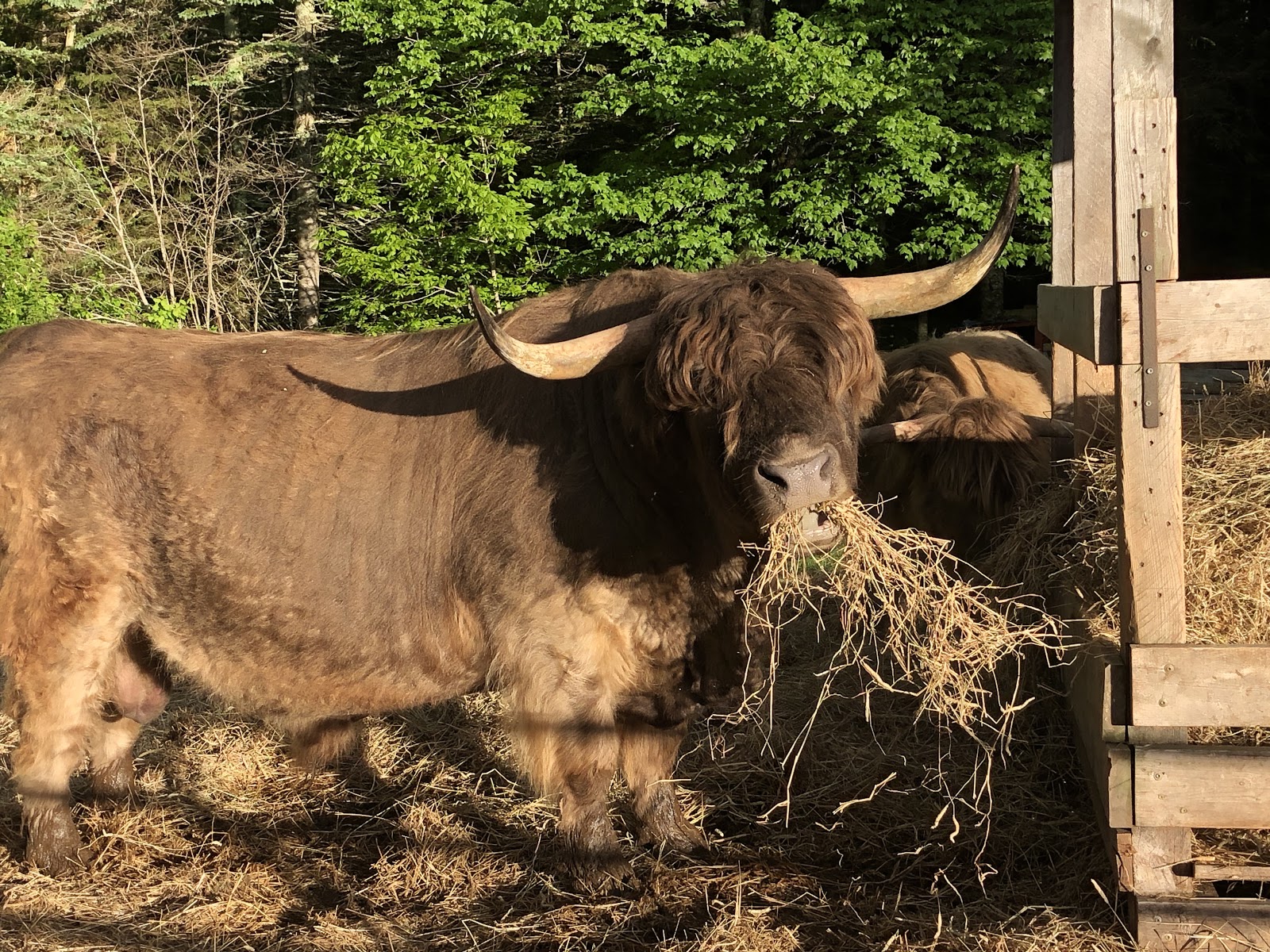 Dyer Bay Farm - Pictures, Features & Amenities | RVezy Campgrounds