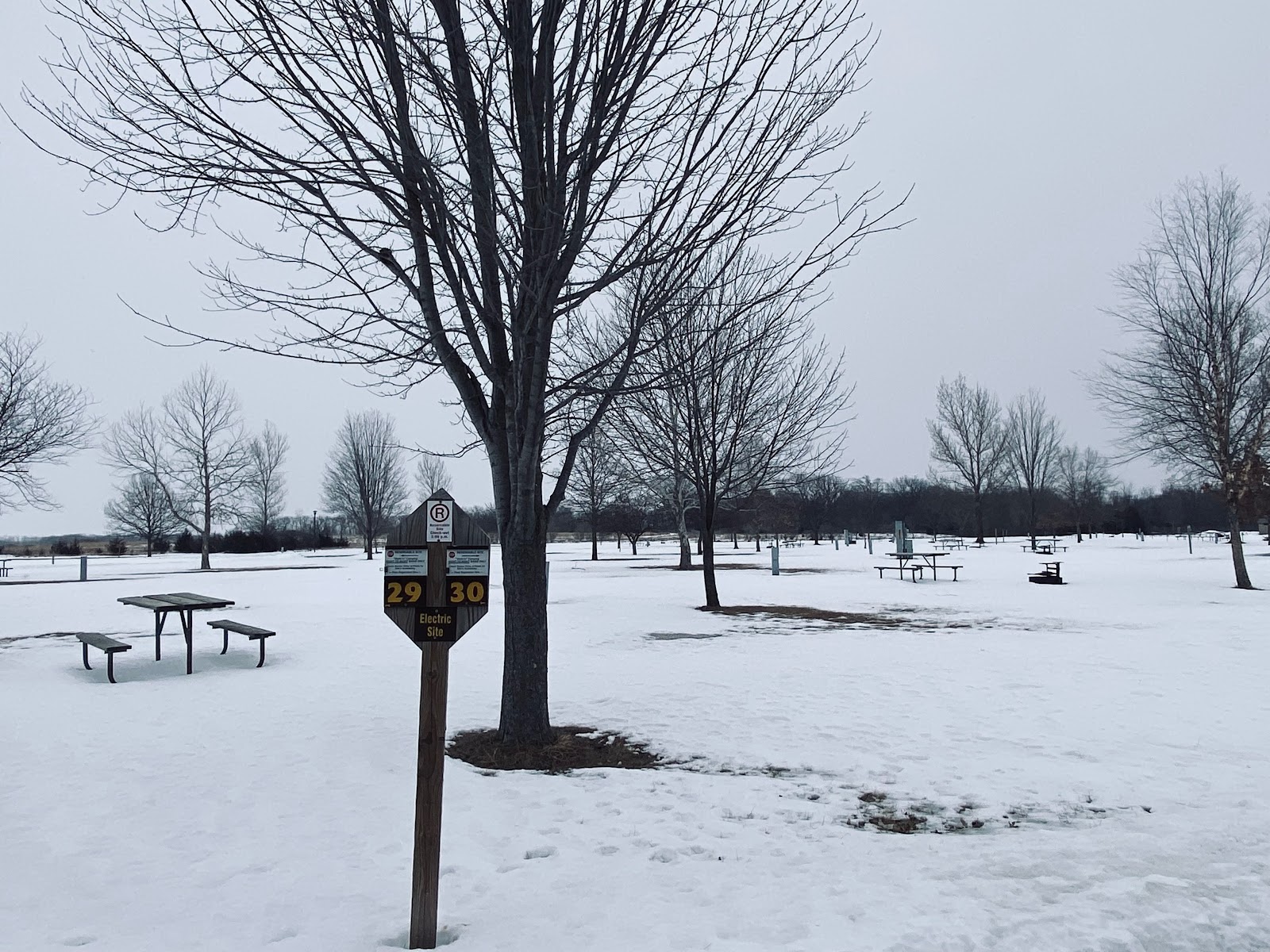 Brushy Creek State Recreation Area - Beach - Pictures, Features ...