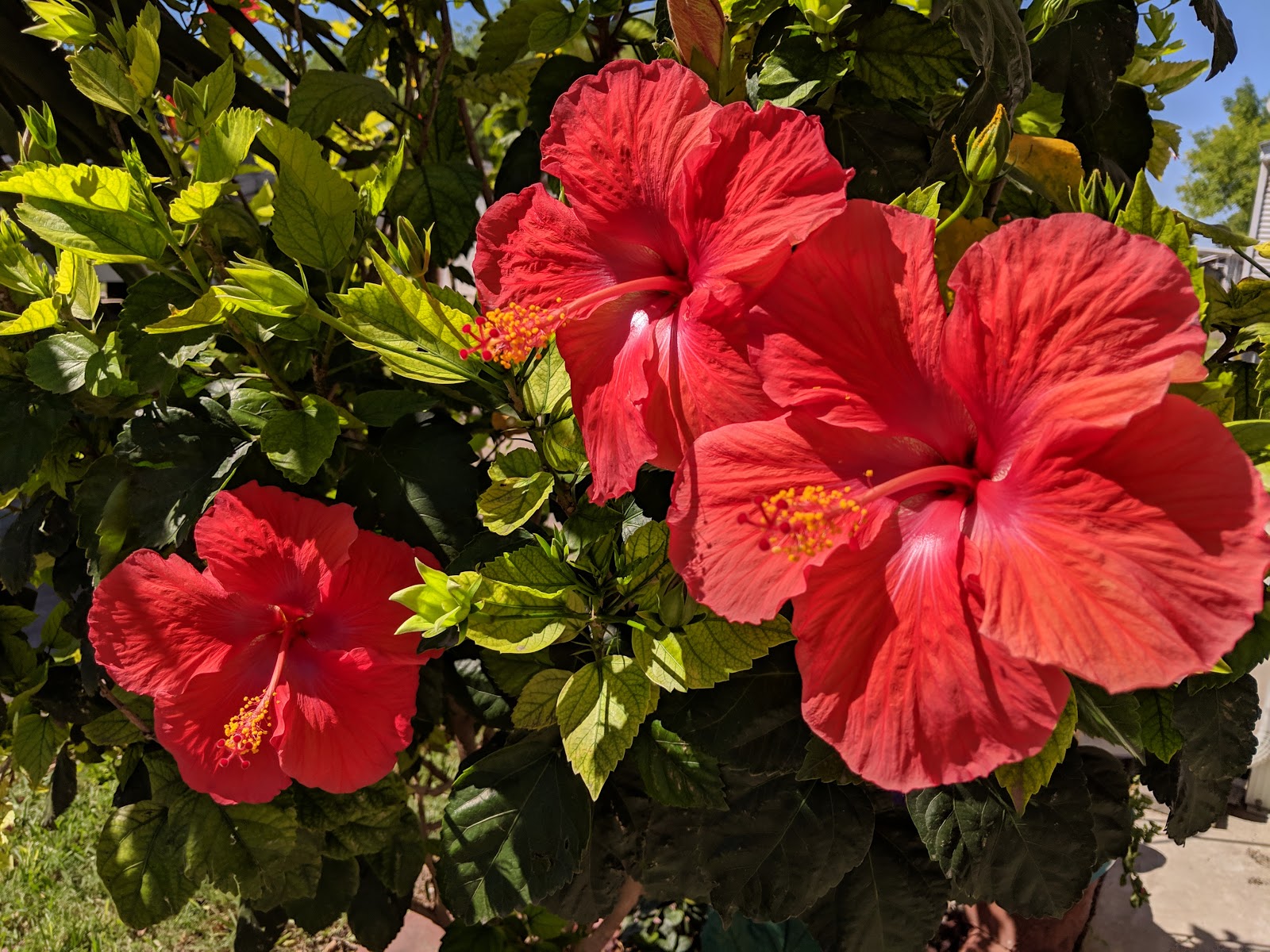 Winter Ranch RV Resort - Pictures, Features & Amenities | RVezy Campgrounds