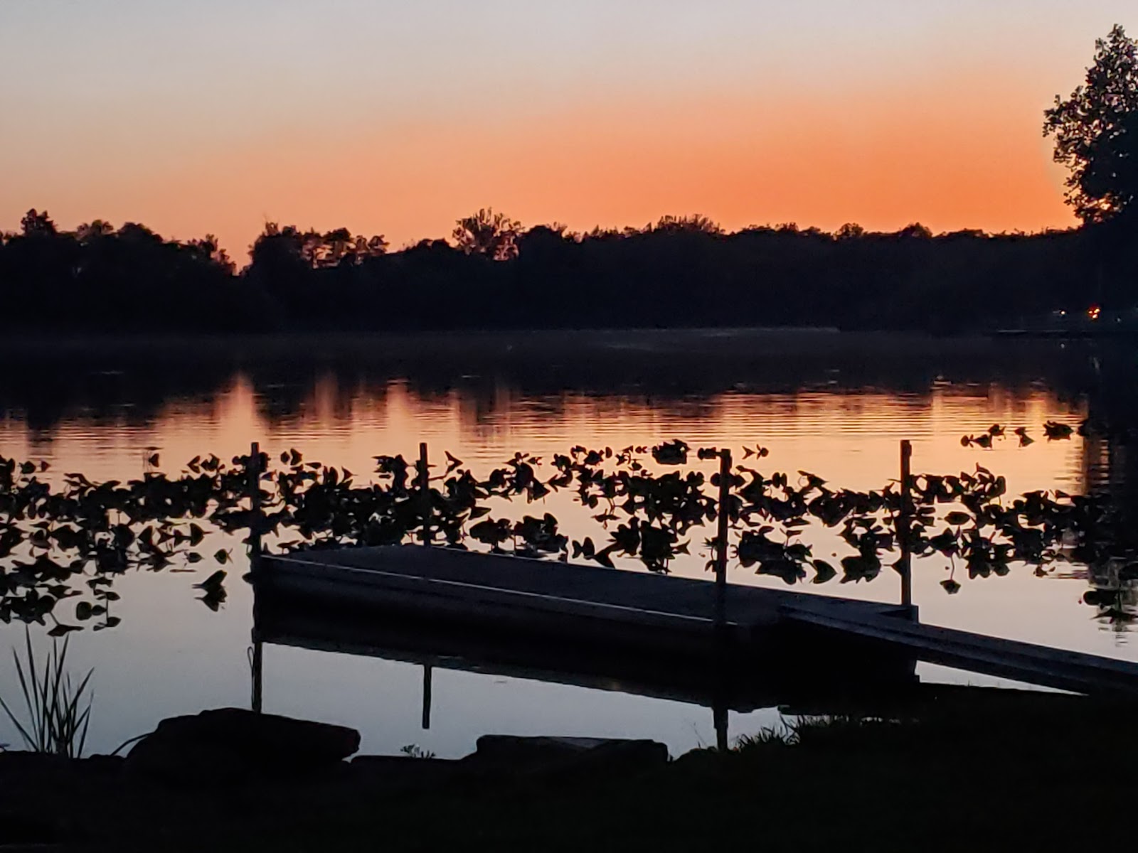 Long Lake Park and Campground - Pictures, Features & Amenities | RVezy ...