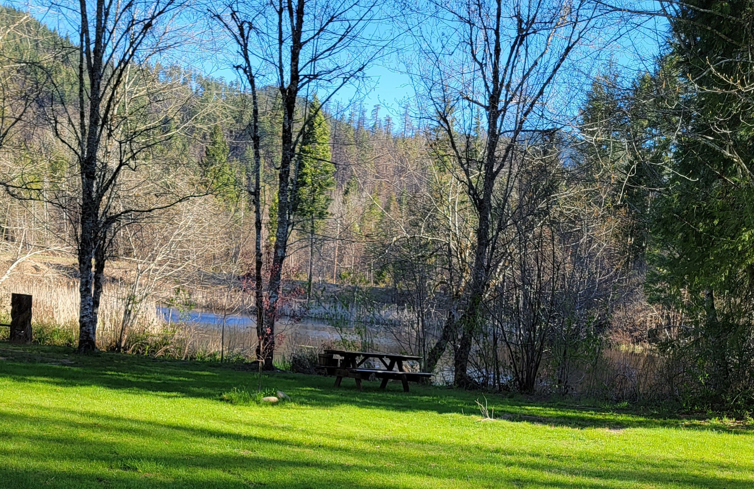 Holiday Farm RV Resort - Pictures, Features & Amenities | RVezy Campgrounds