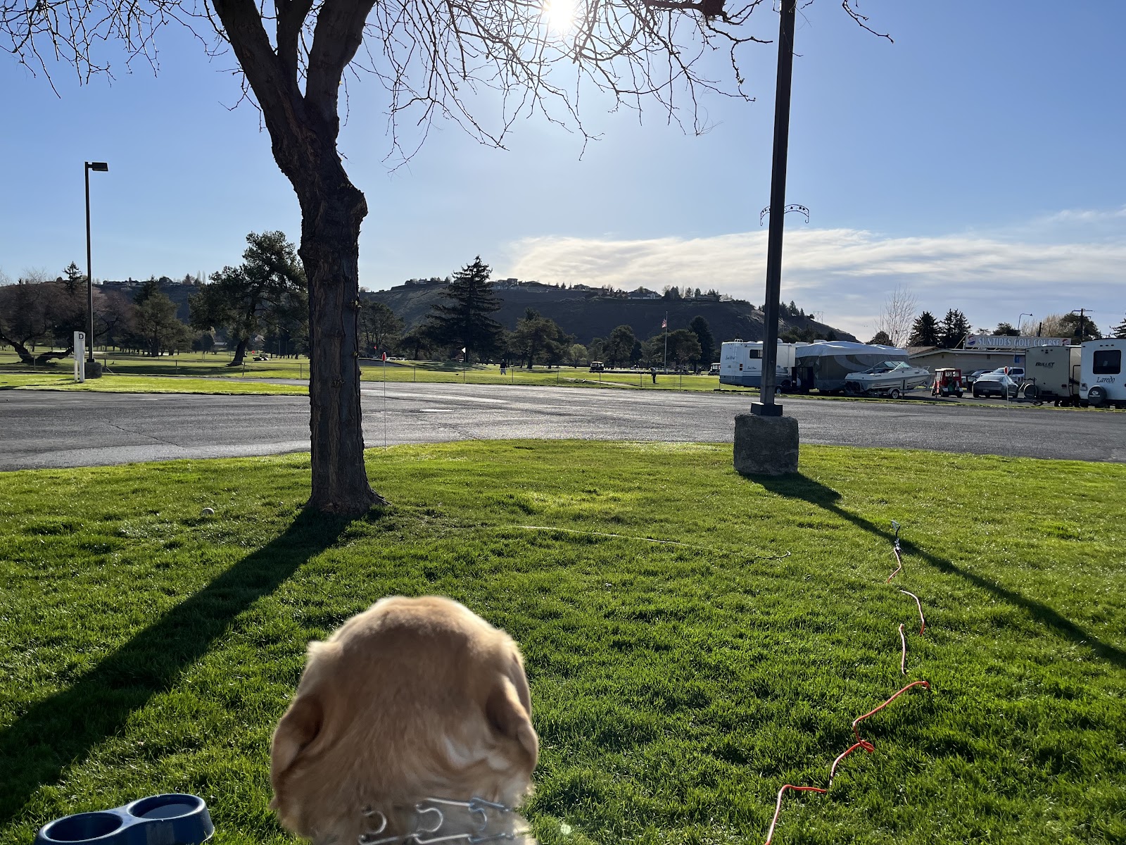 SunTides RV Park - Pictures, Features & Amenities | RVezy Campgrounds