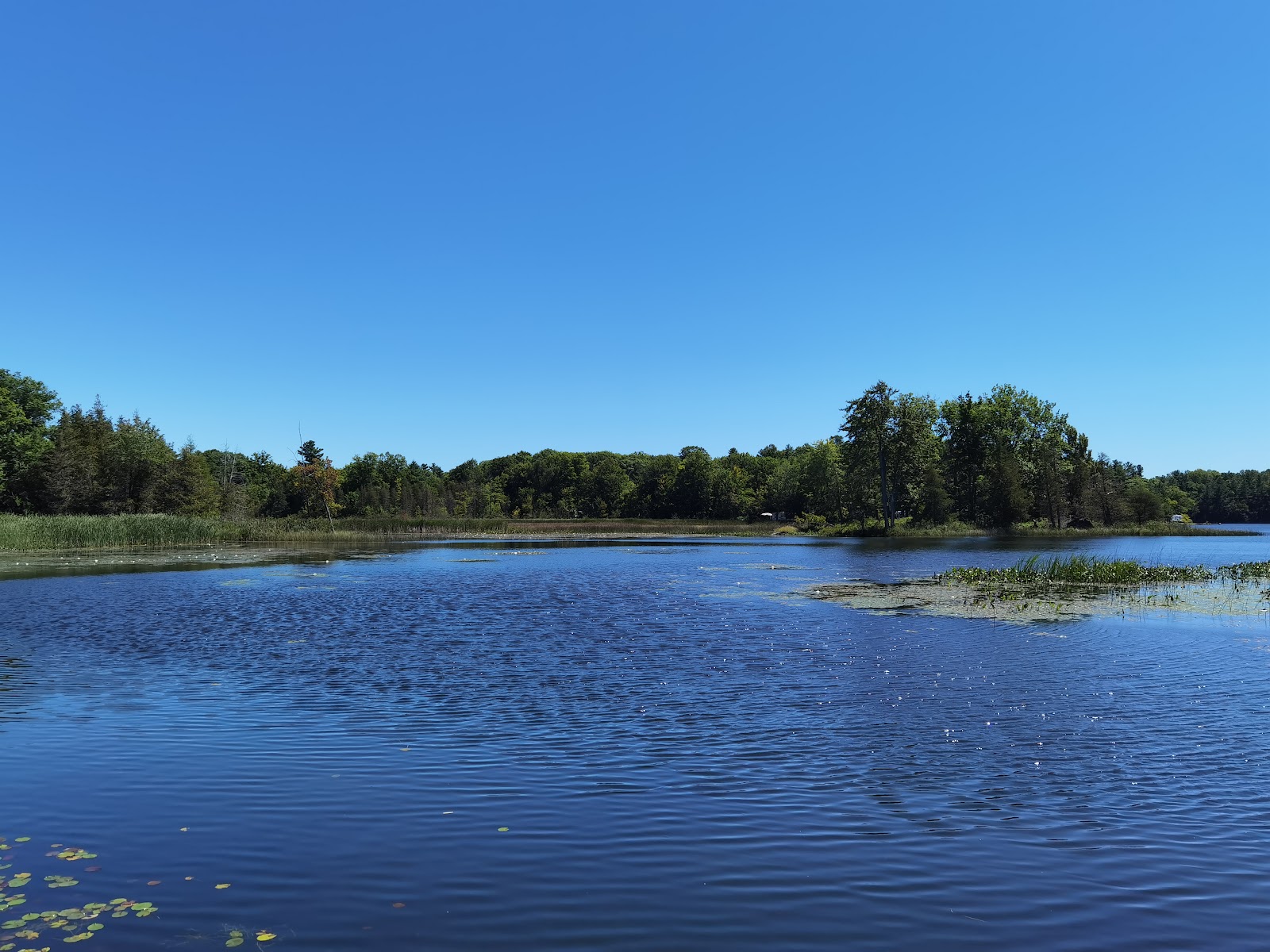 Mcgowan Lake Campground Inc - Pictures, Features & Amenities | RVezy ...