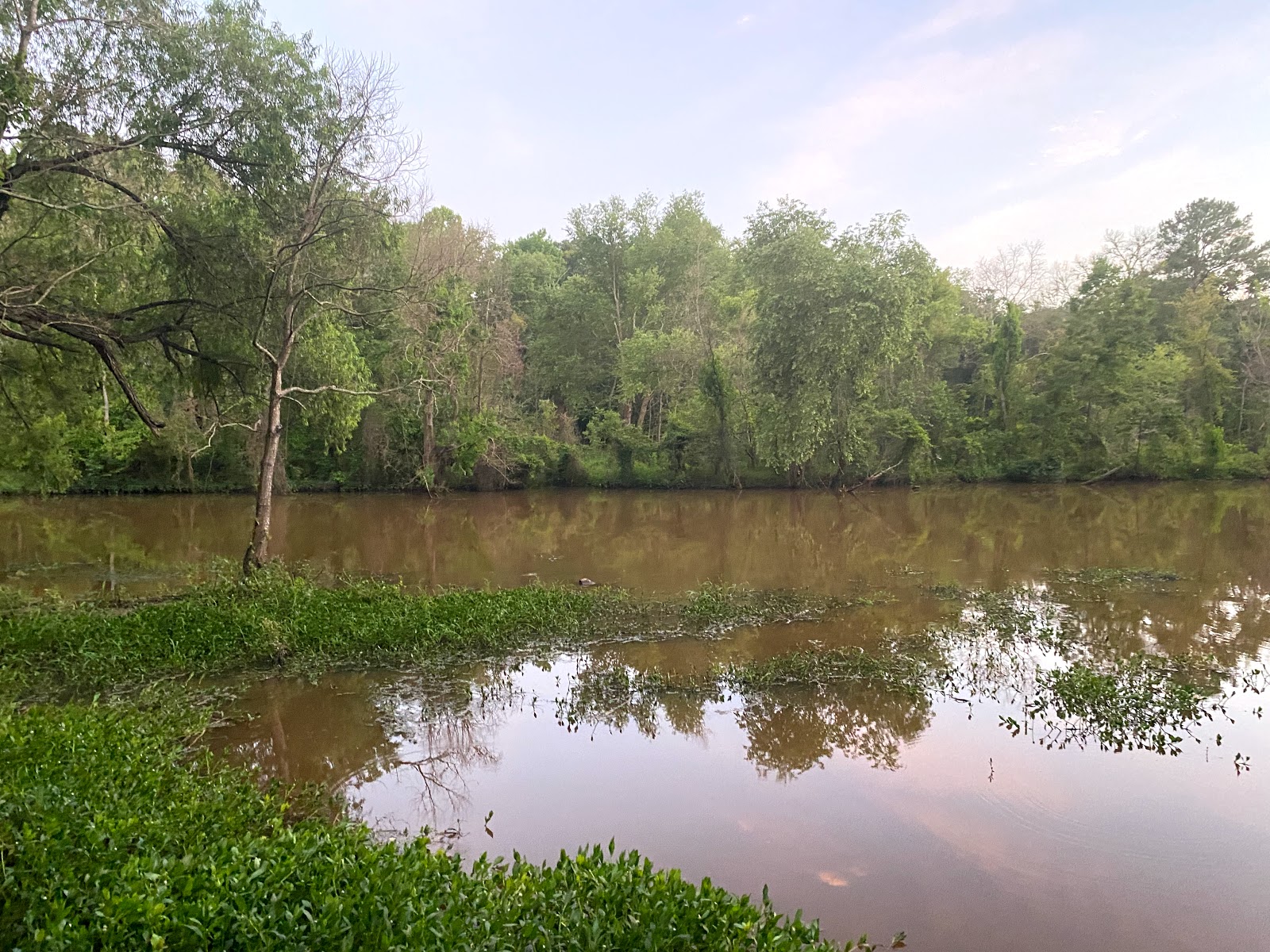 Lake Palestine Gateway RV Park - Pictures, Features & Amenities | RVezy ...