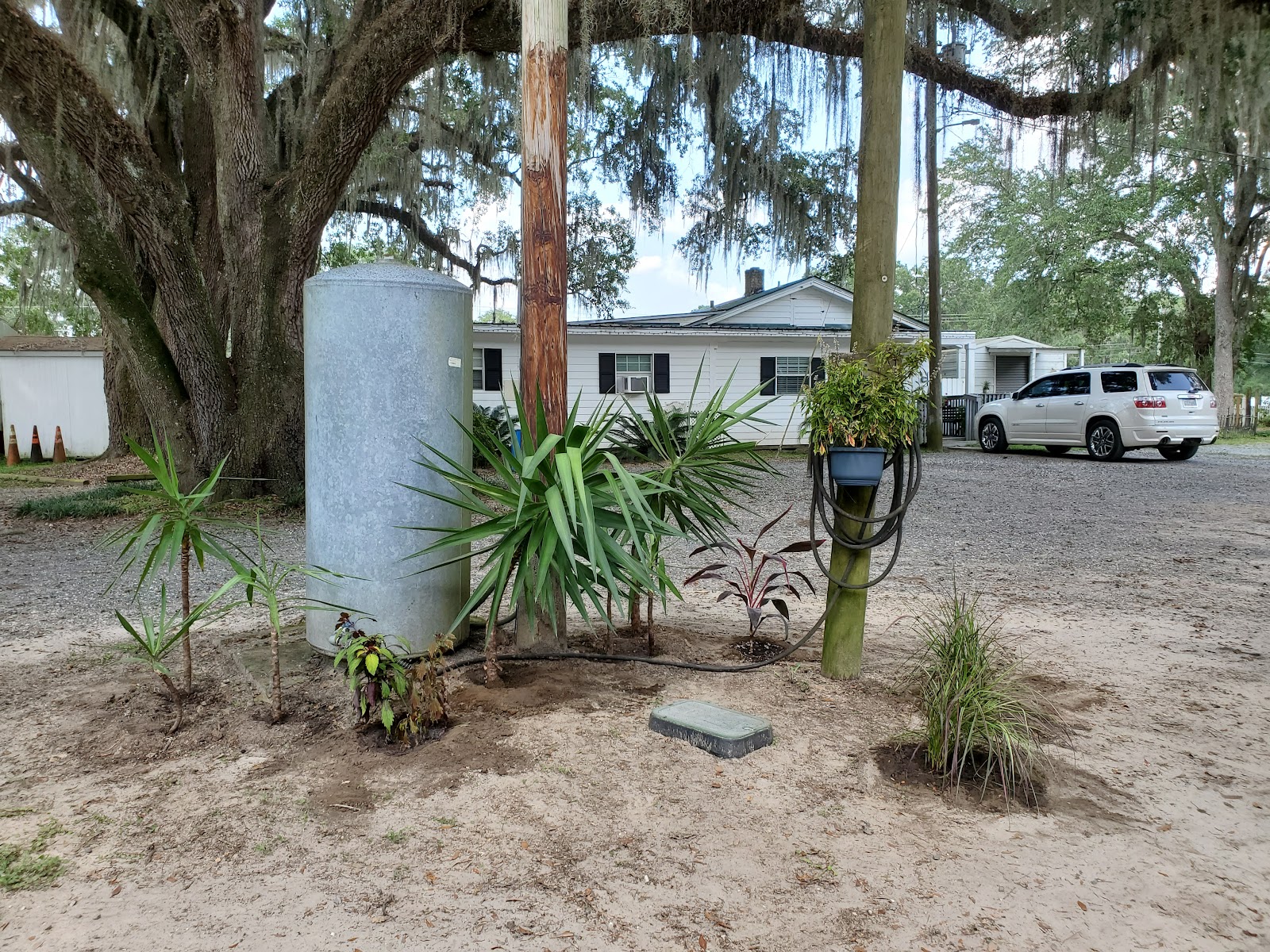 Big Oak RV Park - Pictures, Features & Amenities | RVezy Campgrounds