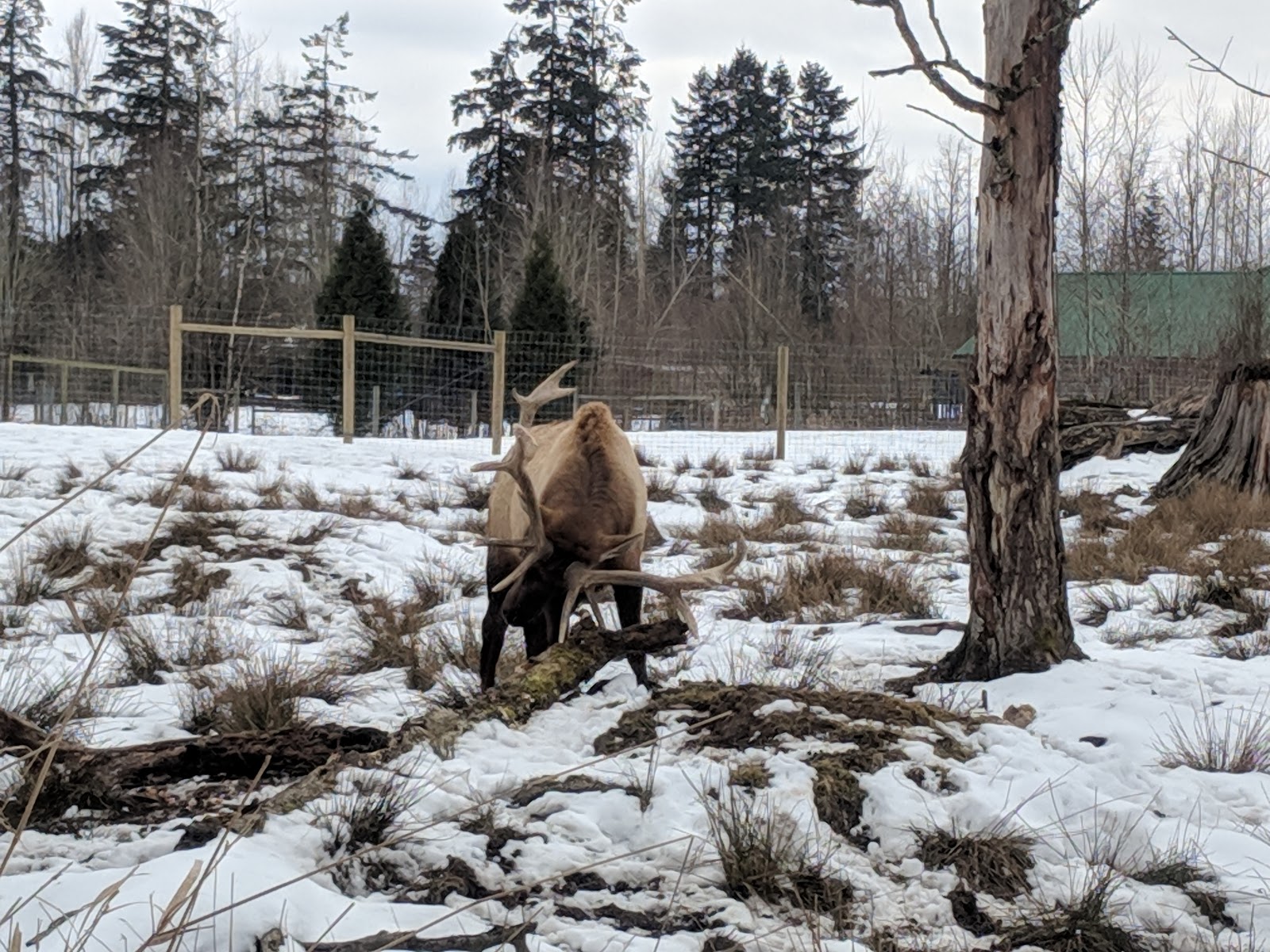 Eagle Wind RV Park - Pictures, Features & Amenities | RVezy Campgrounds