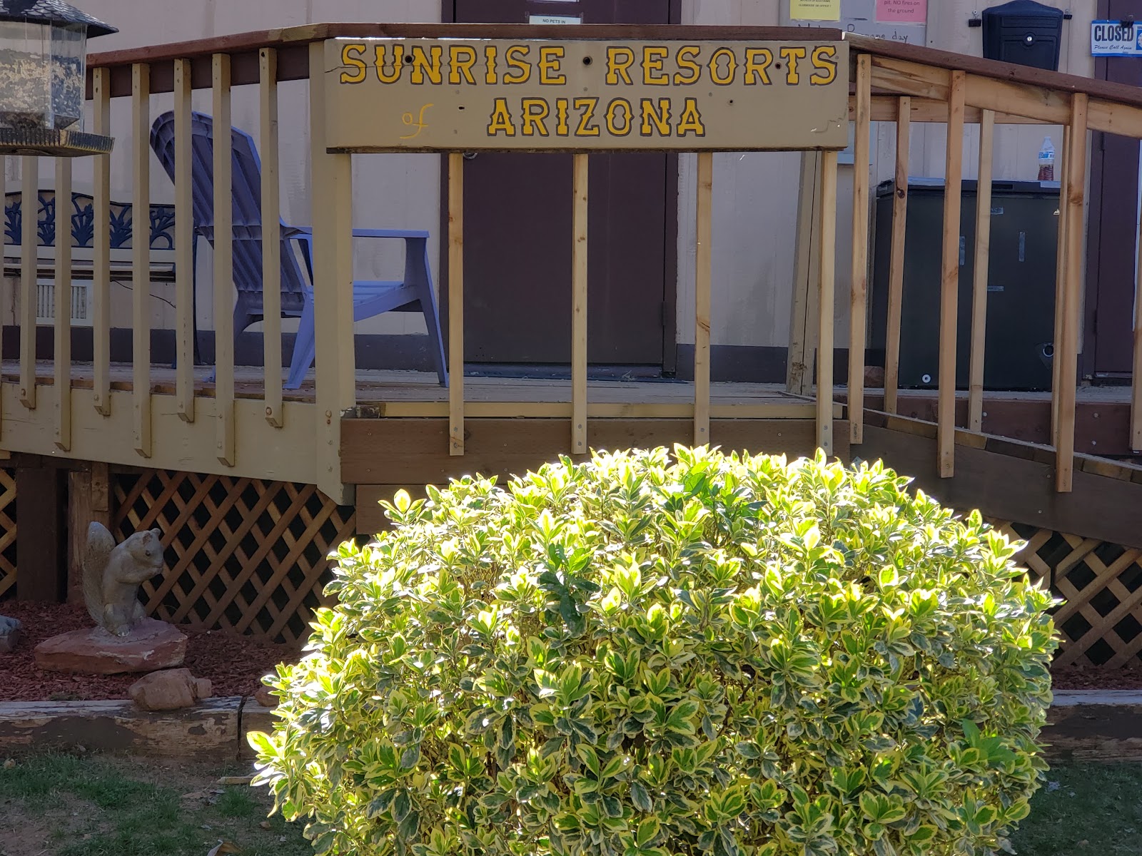 Page Springs RV Park - Pictures, Features & Amenities | RVezy Campgrounds