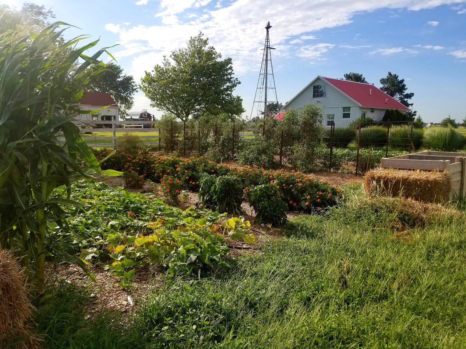 Champion Ridge Inn and Country RV Park - Pictures, Features & Amenities ...