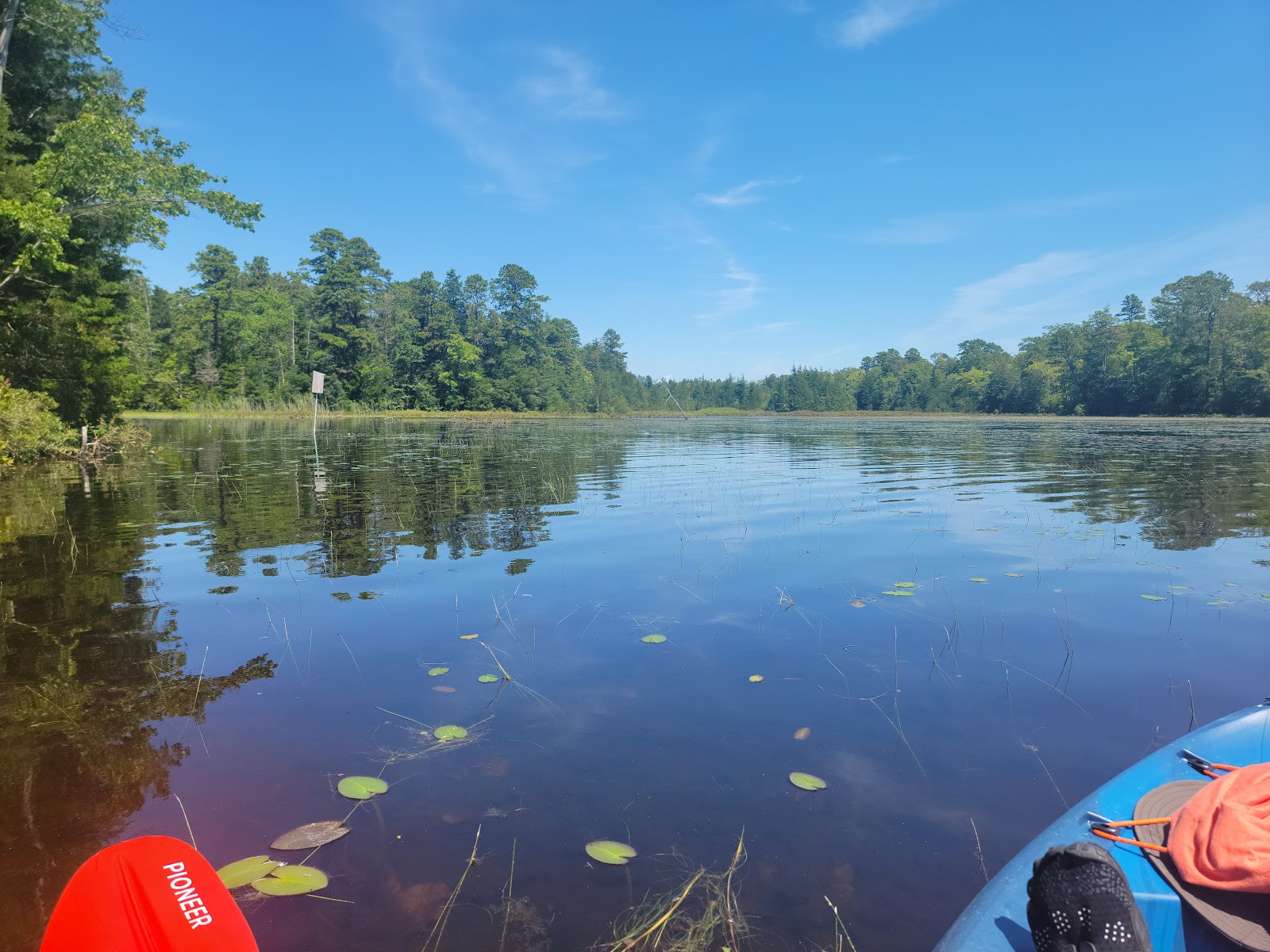 Belleplain State Forest - Pictures, Features & Amenities | RVezy ...