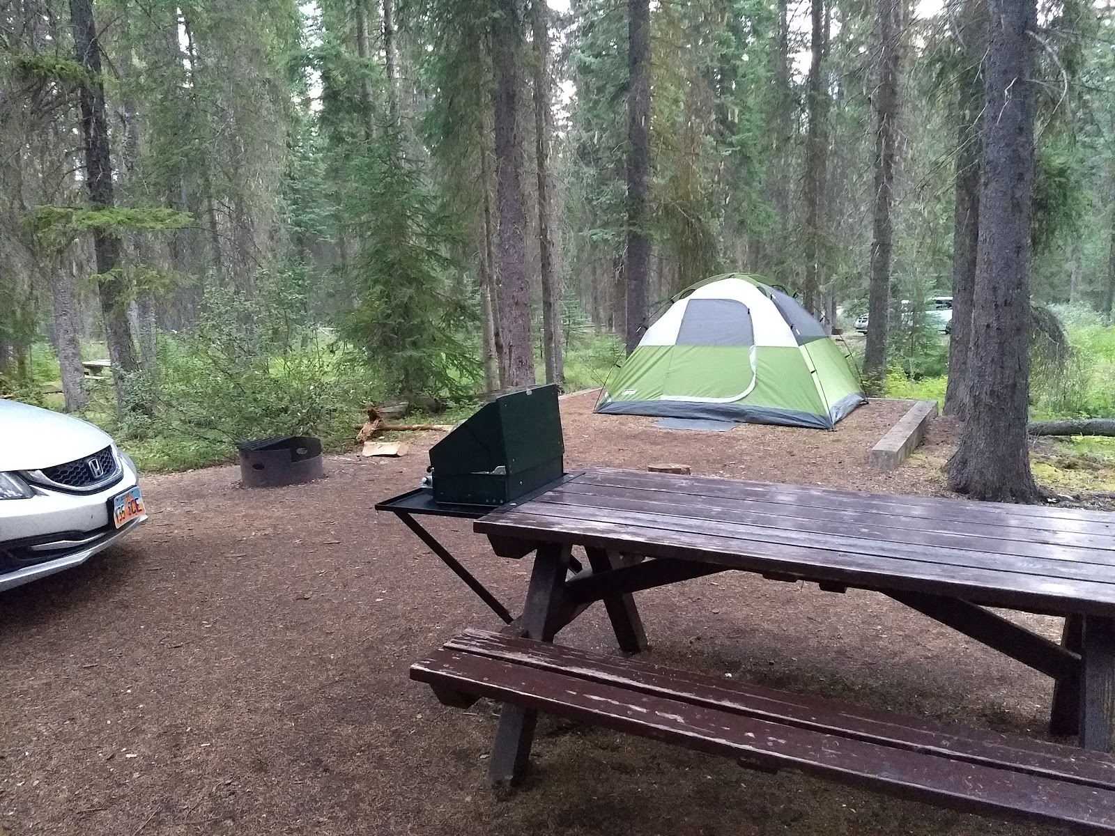 Mcleod Meadows Campground - Kootenay National Park - Pictures, Features ...