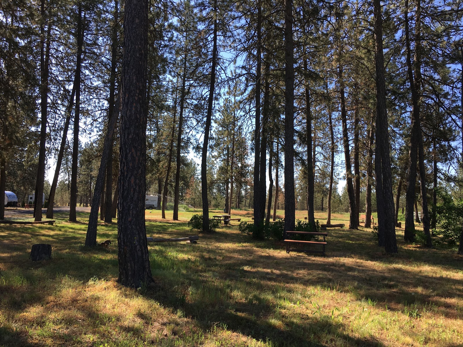 Peaceful Pines RV Park and Campground - Pictures, Features & Amenities ...