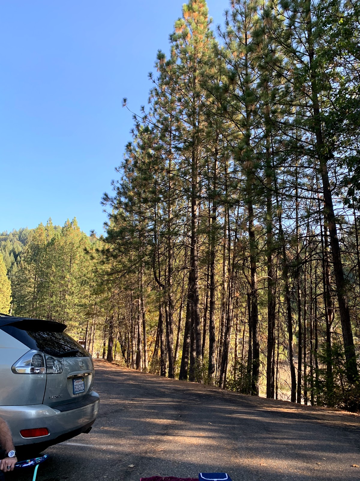 Long Ravine Resort - Pictures, Features & Amenities | RVezy Campgrounds