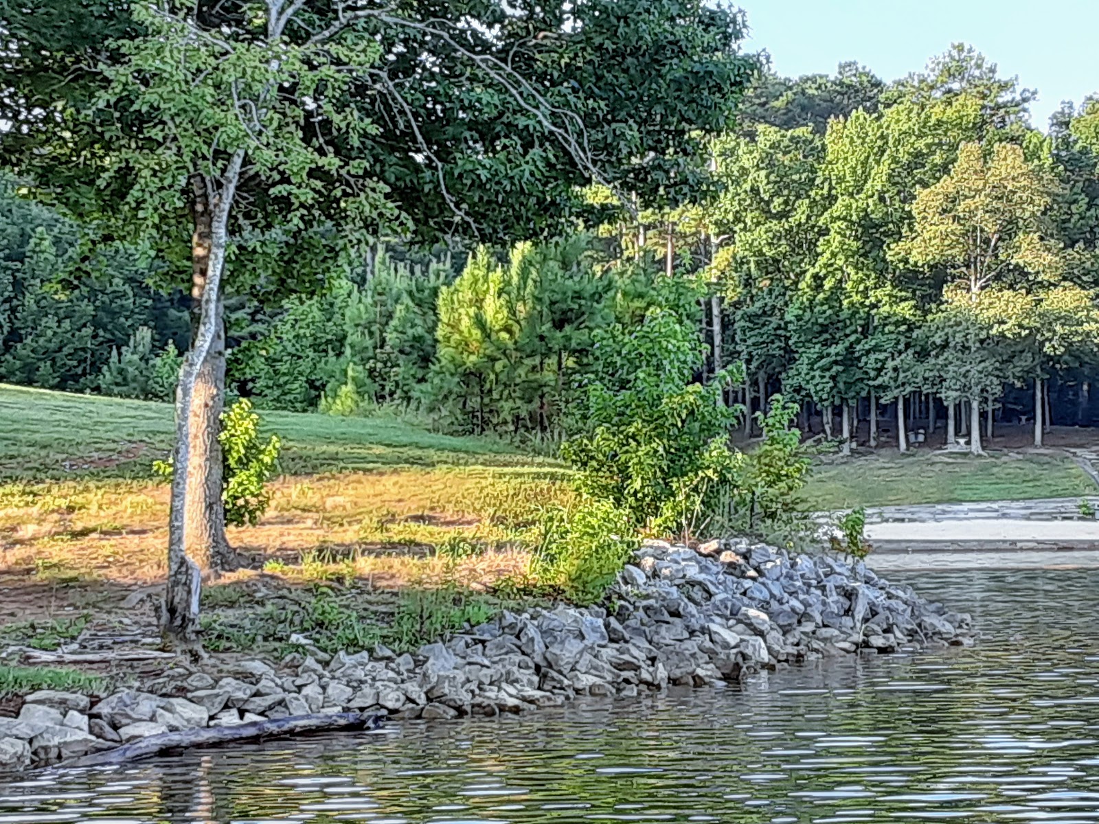 Elliott Branch - Bear Creek - Pictures, Features & Amenities | RVezy ...